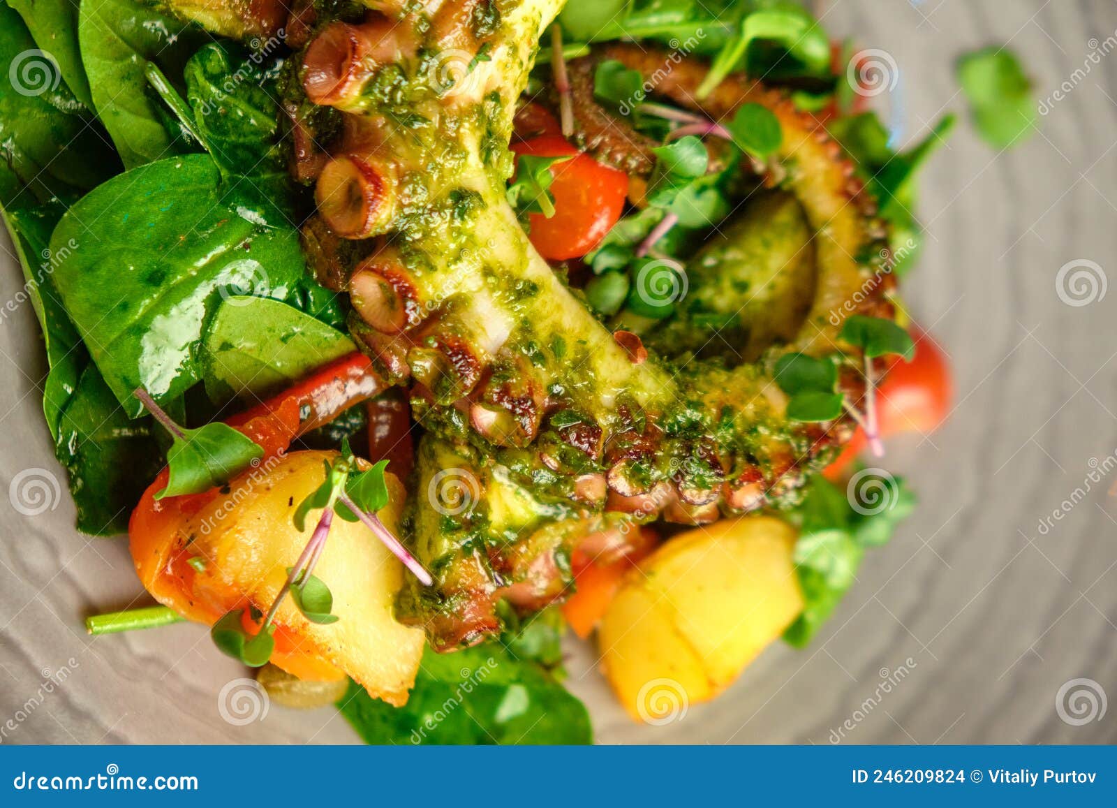 A Dish with Fried Octopus Tentacles Stock Photo - Image of healthy ...