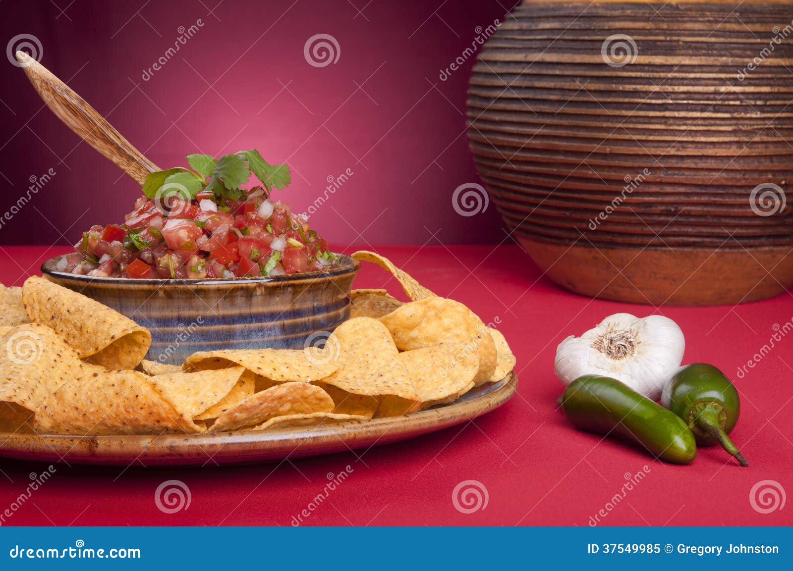 Dish of Homemade Salsa with Chips. Stock Image - Image of food ...