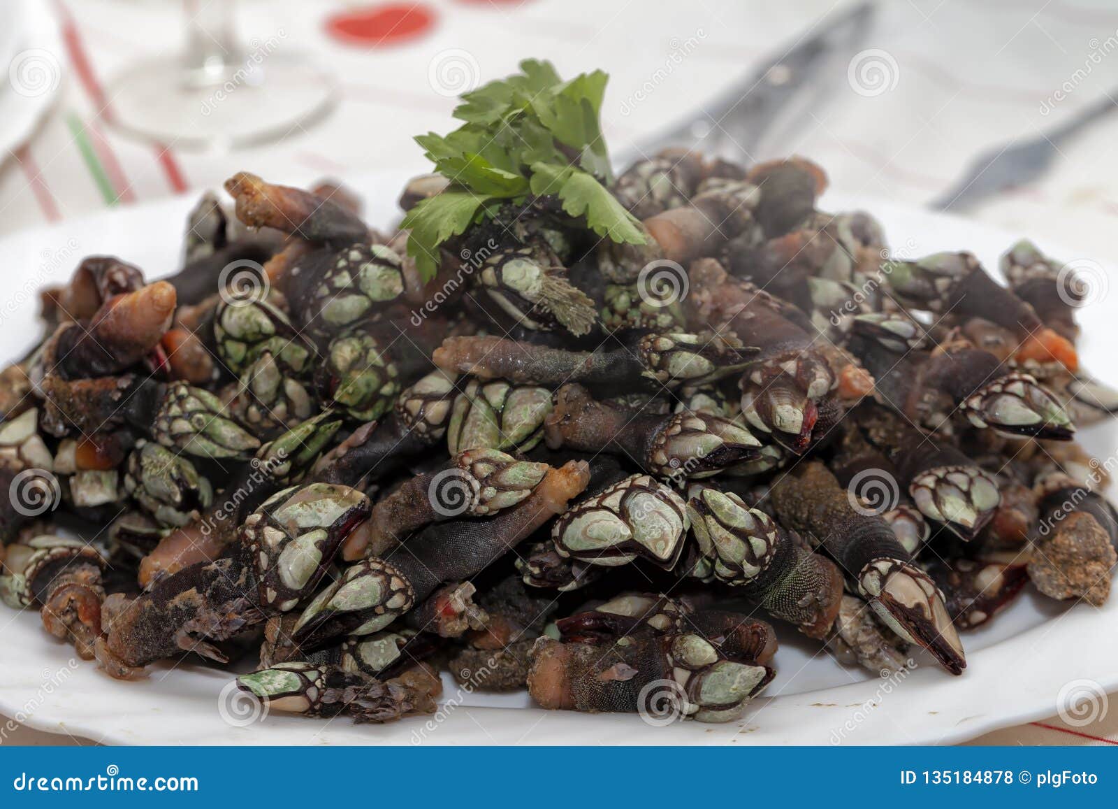A Dish with Lots of Freshly Cooked Barnacles Stock Photo - Image of ...