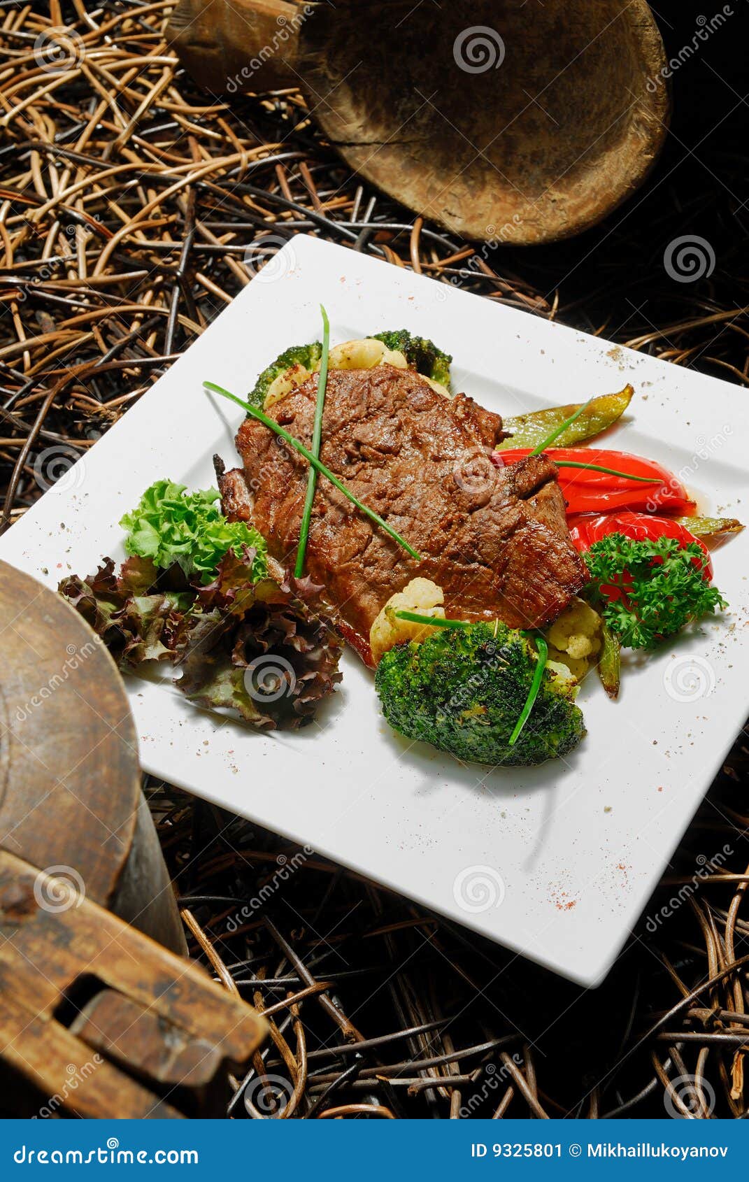 Dish from meat stock image. Image of beauty, branches - 9325801