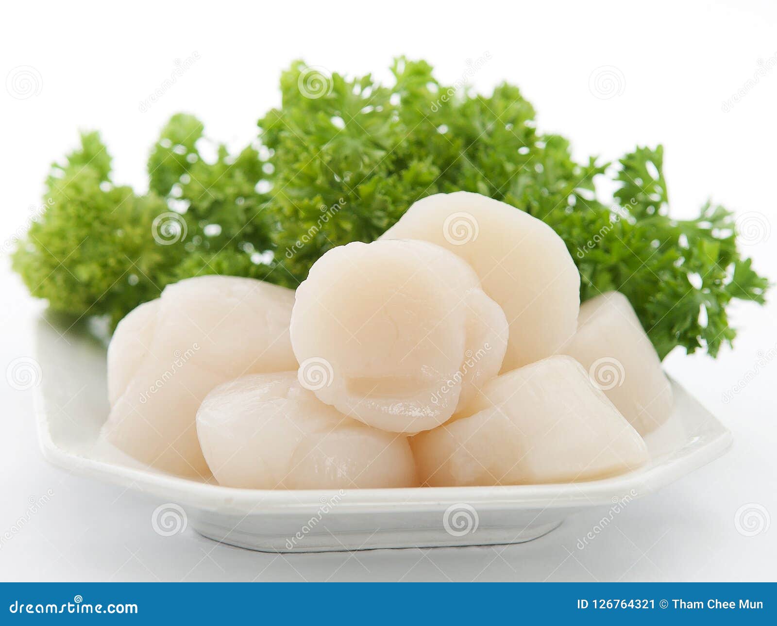 A dish of Scallop meat stock image. Image of closeup - 126764321