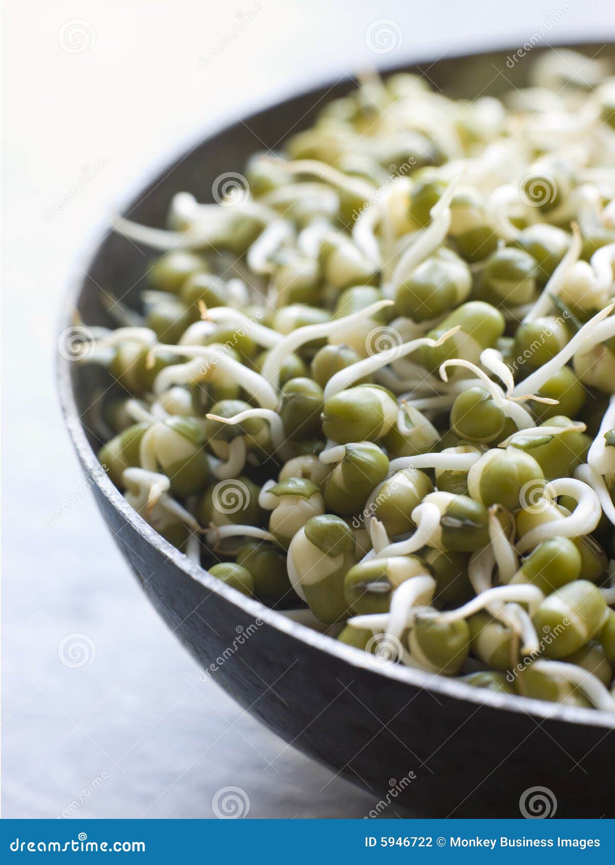 Dish of Sprouting Moong Beans Stock Photo - Image of interior, studio ...