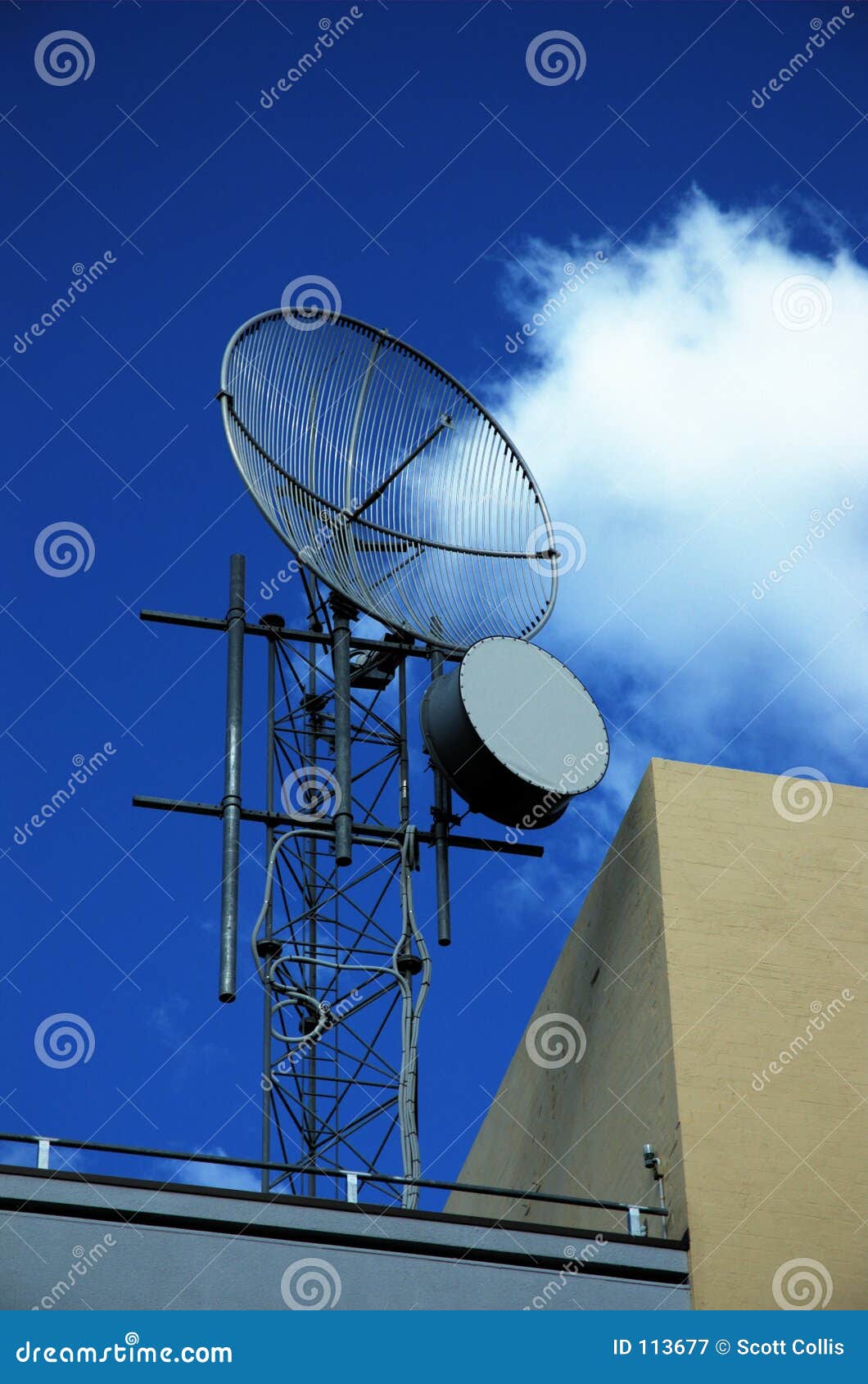 Dishes stock image. Image of wireless, dish, digital, radio - 113677