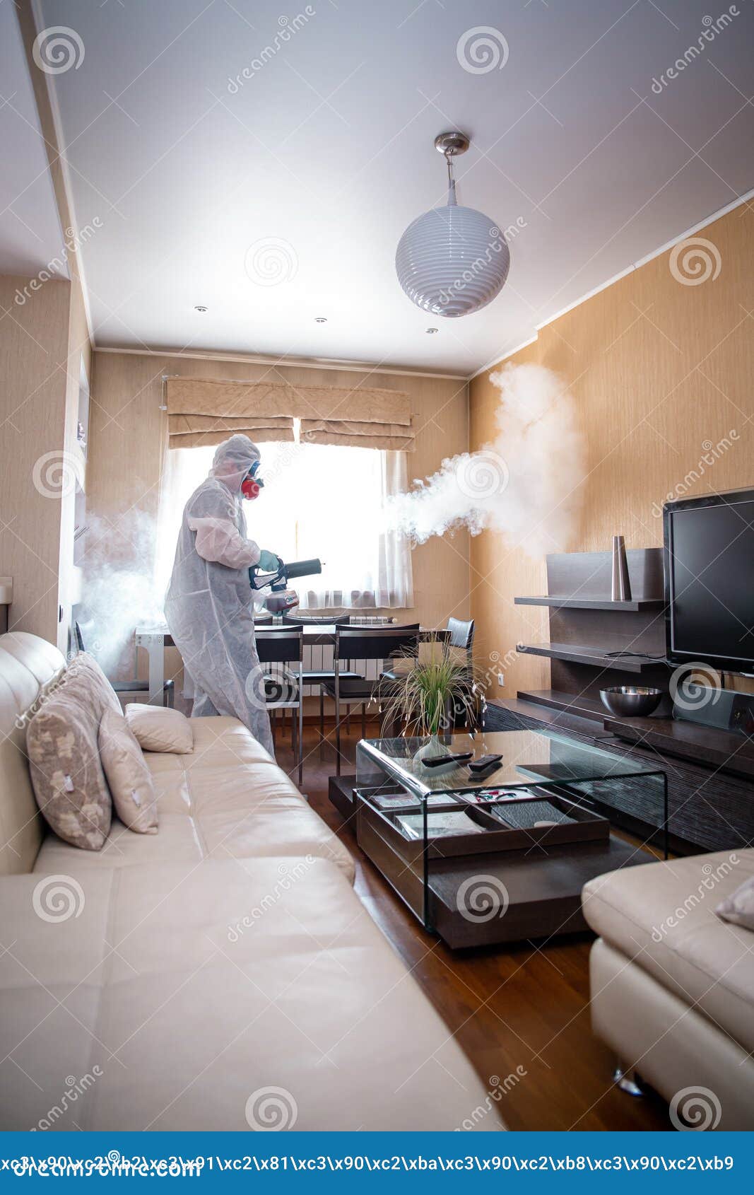 Disinfection of the Apartment. the Guy is Disinfecting the Room Stock ...