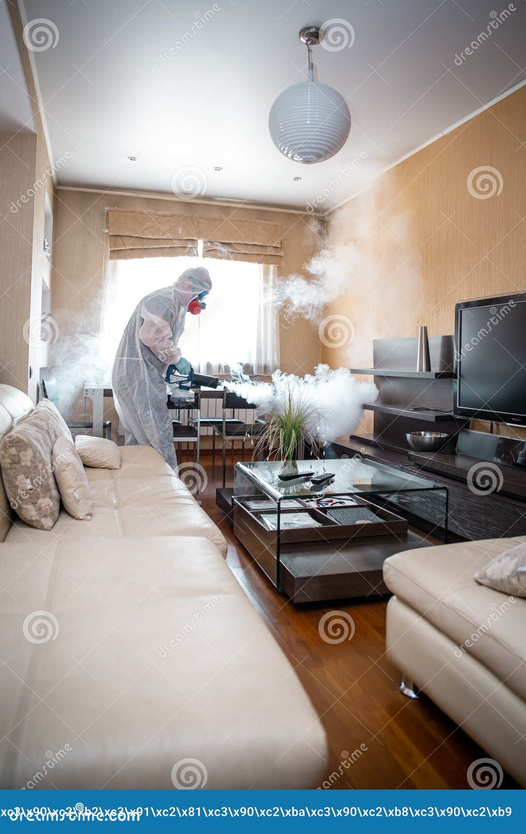 Disinfection of the Apartment. the Guy is Disinfecting the Room Stock ...