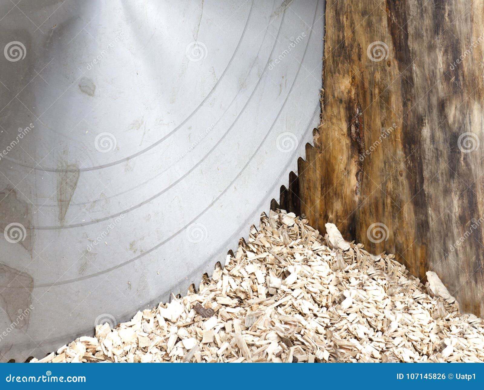Disk saw stock photo. Image of isolated, carpentry, professional ...