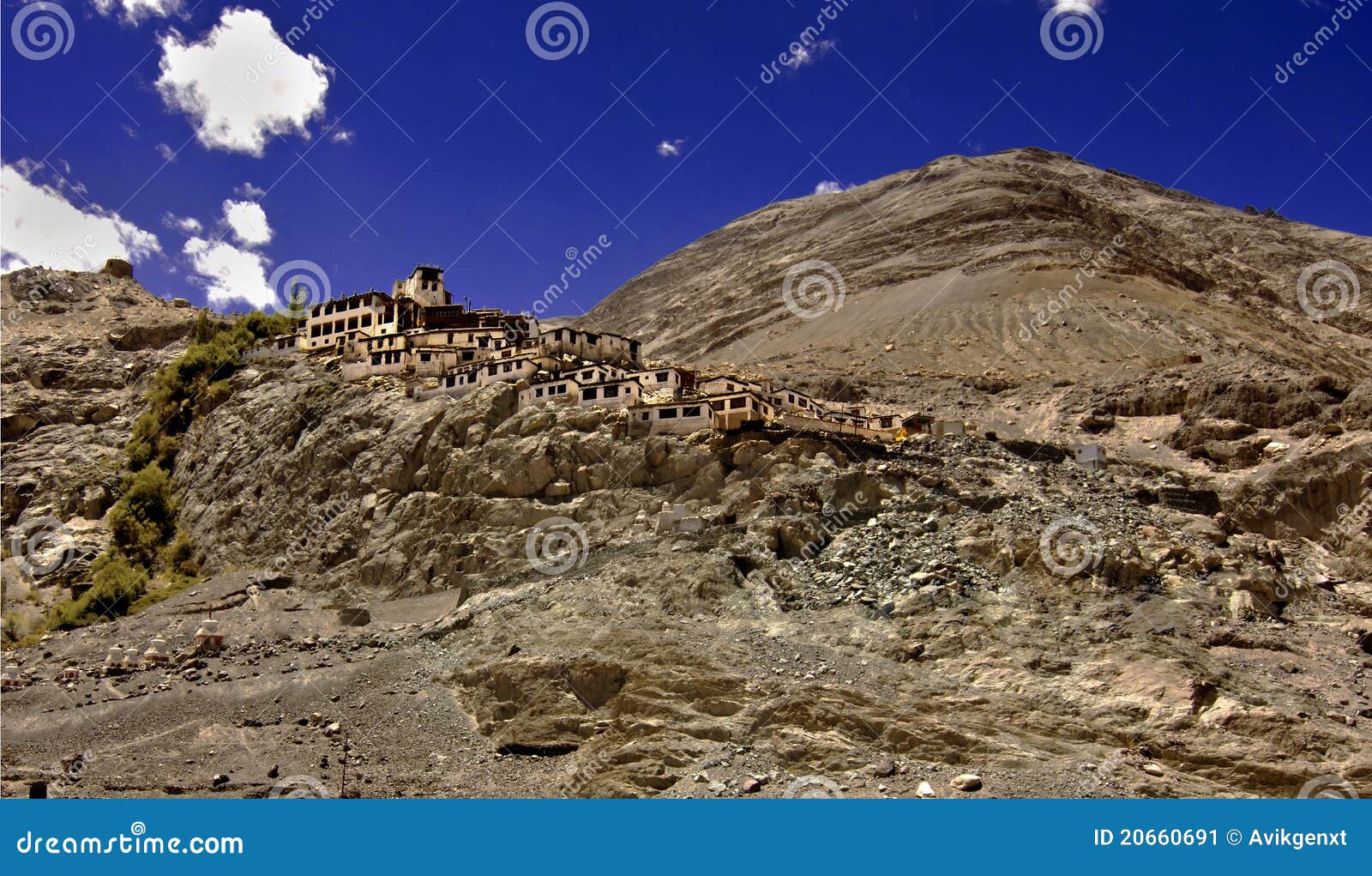 Diskit Monastery Ladakh, India Stock Image - Image of travel, meadow ...