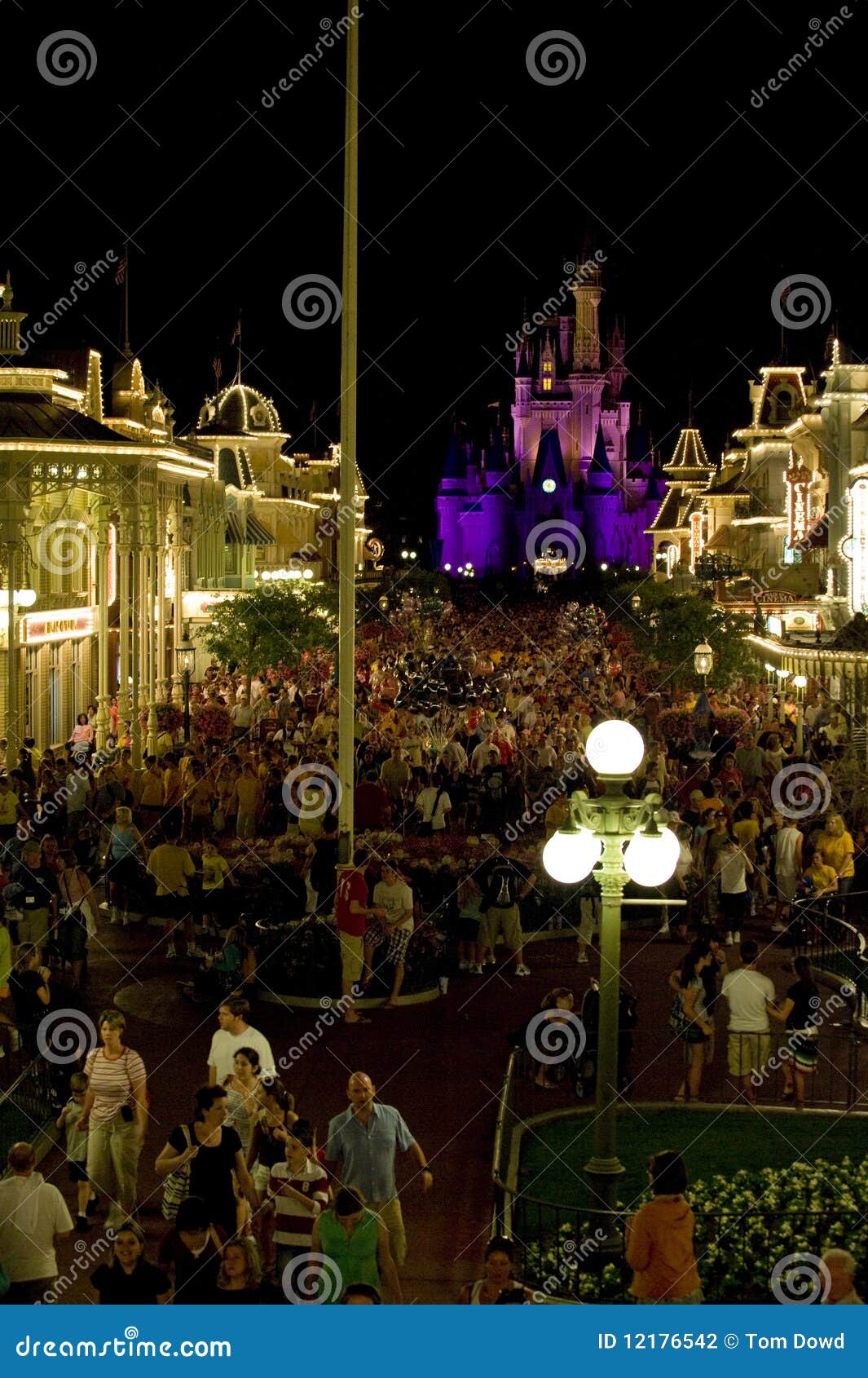 Disney Night Magic Kingdom Castle Editorial Photo | CartoonDealer.com ...
