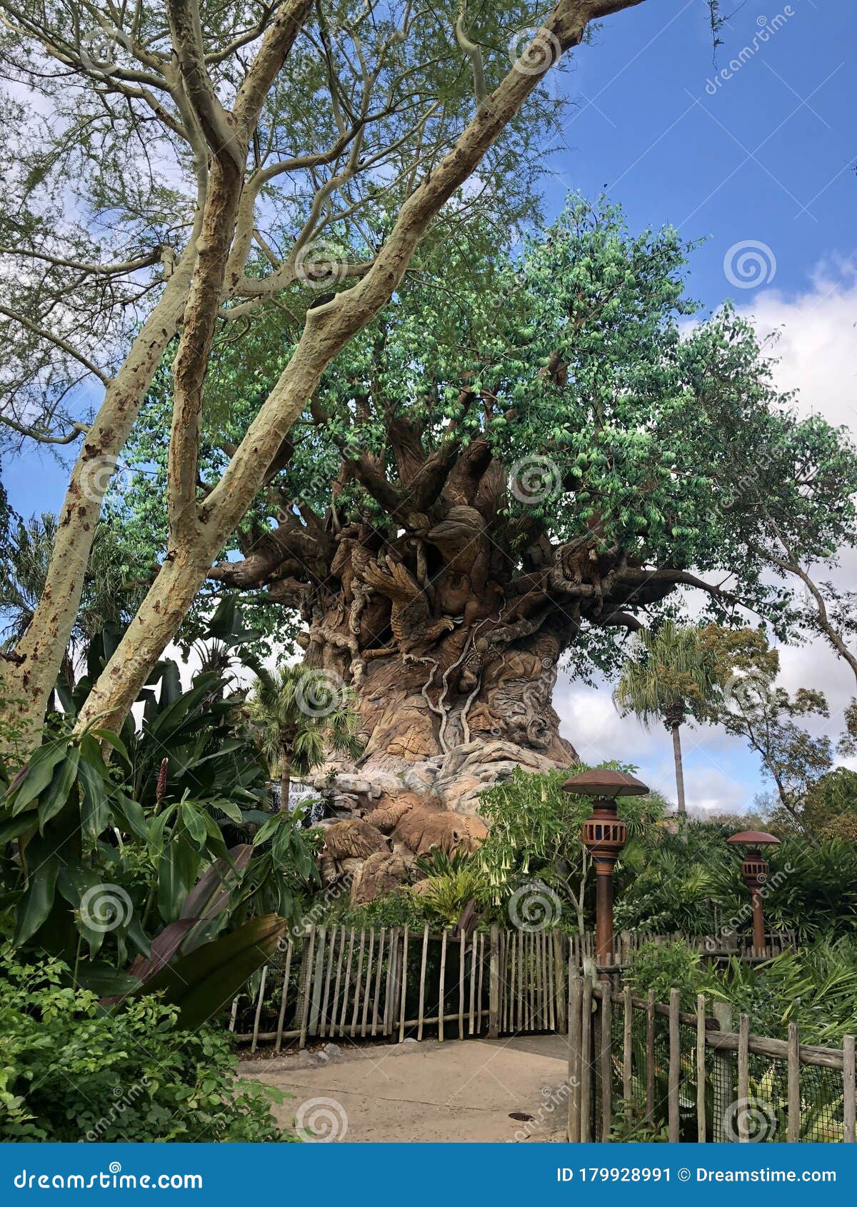 Disney editorial photo. Image of life, tree, disneyworld - 179928991