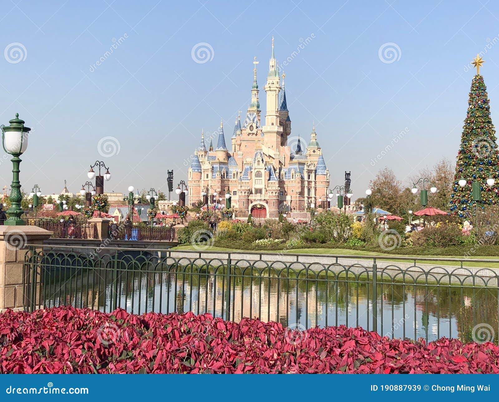 Disneyland castle editorial stock image. Image of disneyland - 190887939