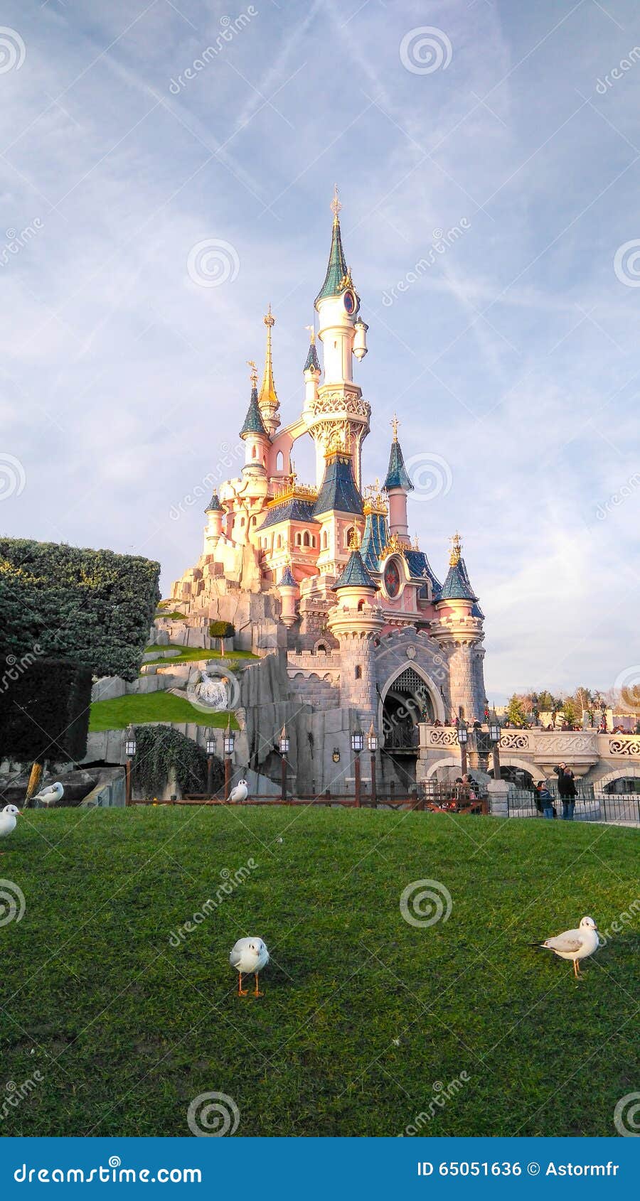 Disneyland Princess Parade Float Editorial Image | CartoonDealer.com ...