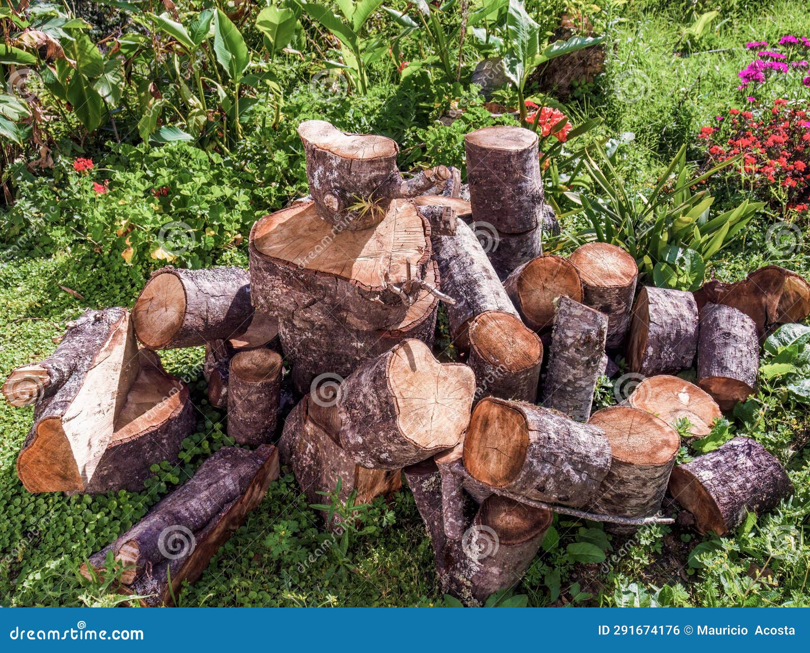 A Heap Of Alder Tree Logs Royalty-Free Stock Photo | CartoonDealer.com ...