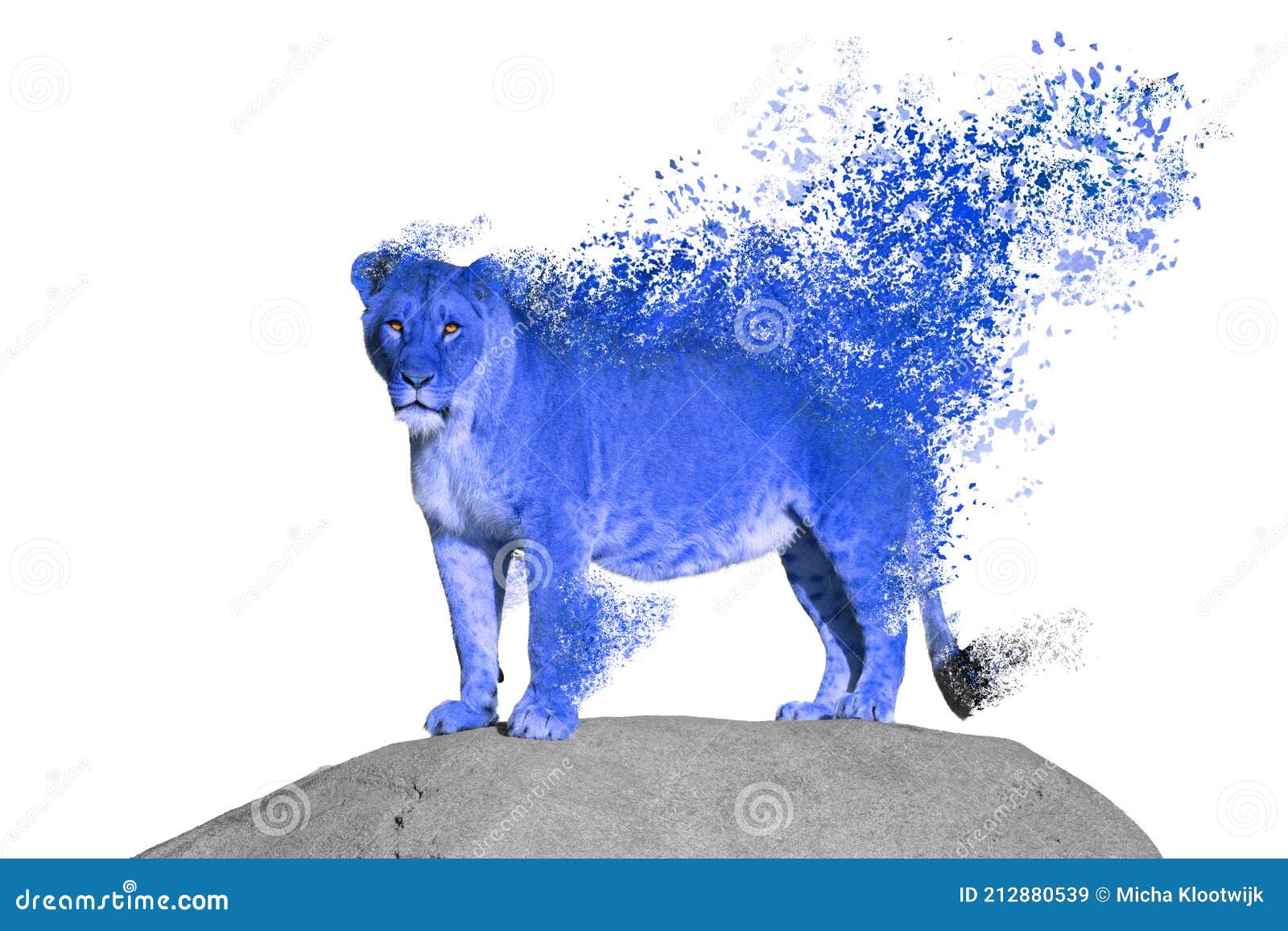 Dispersing Lioness Watching from a Rock Stock Image - Image of animal ...
