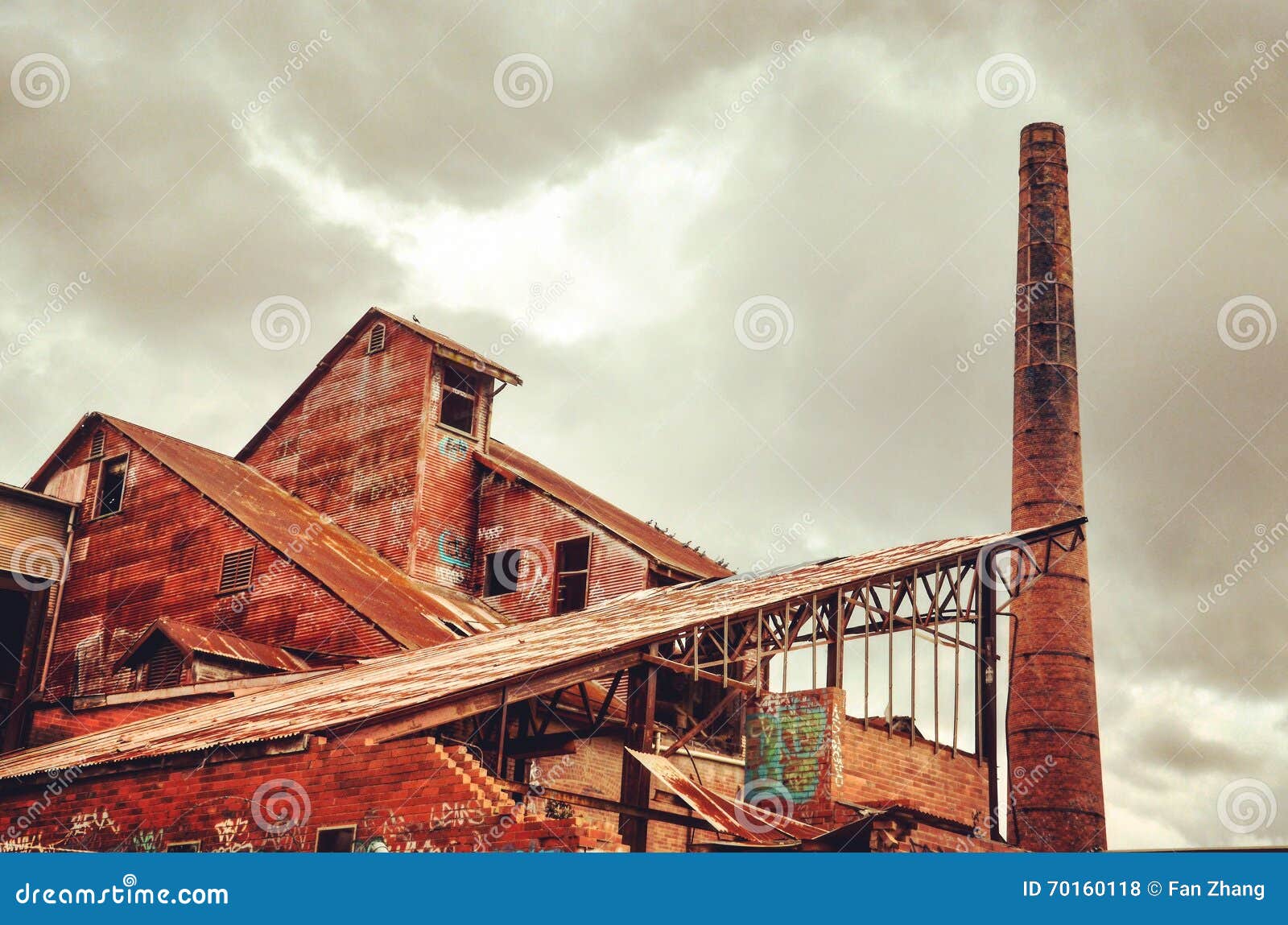 Displaced plant editorial stock photo. Image of plant - 70160118