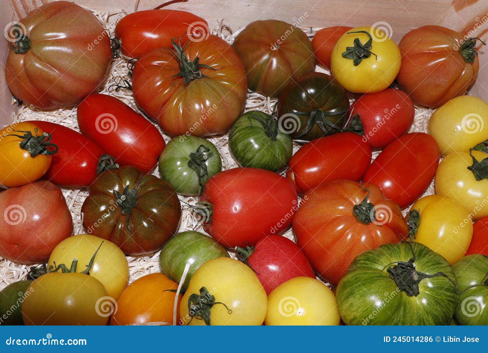 Display of Assorted Heirloom or Heritage Tomatoes in a Box Stock Photo ...