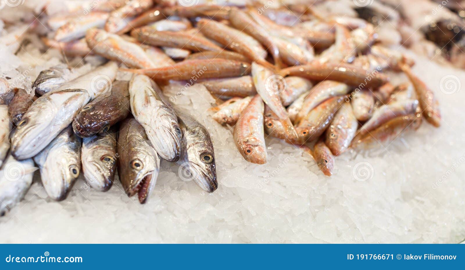 Display with Assorted Seafood Stock Image - Image of price, protein ...