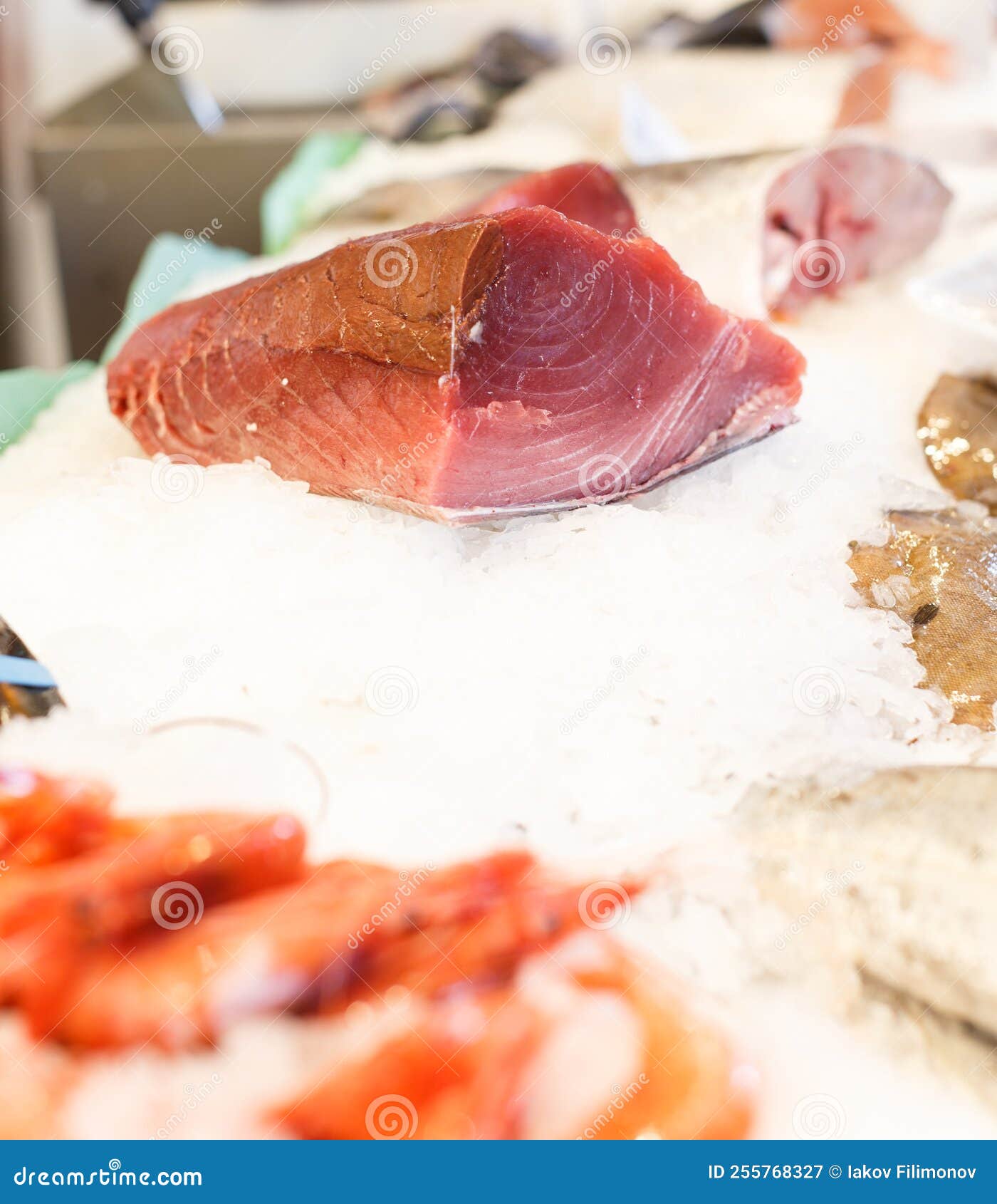 Display with Assorted Seafood Stock Image - Image of fishing, dinner ...