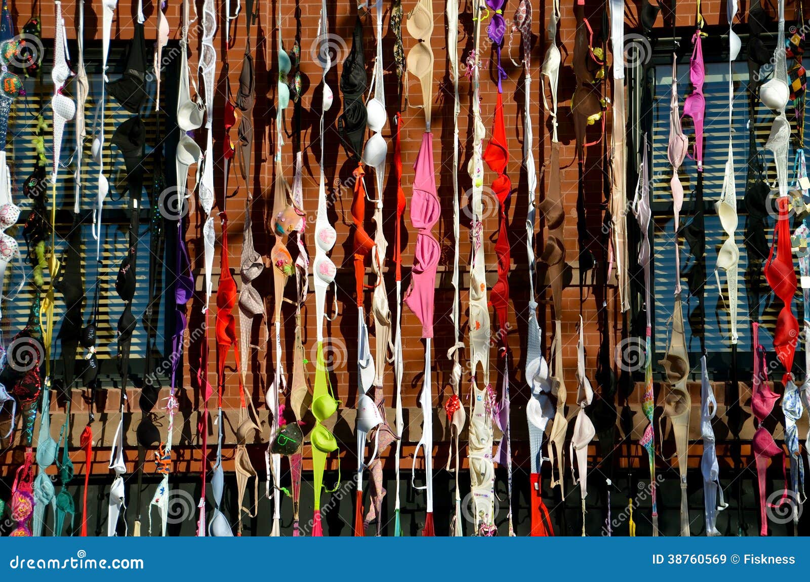 Display of Colored Bras stock image. Image of brassiere - 38760569