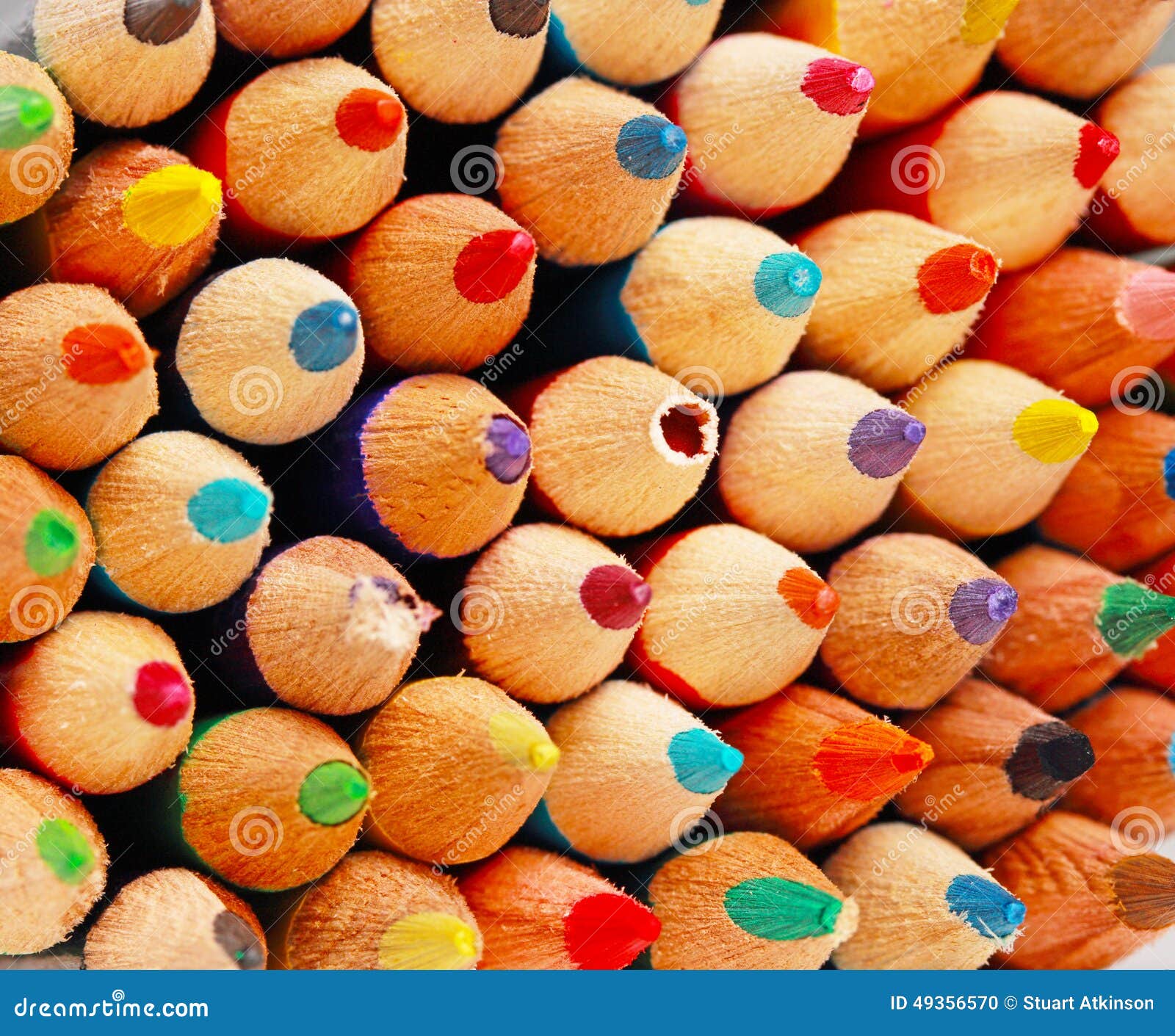A Display of Colored Pencils Stock Photo - Image of equipment, tool ...