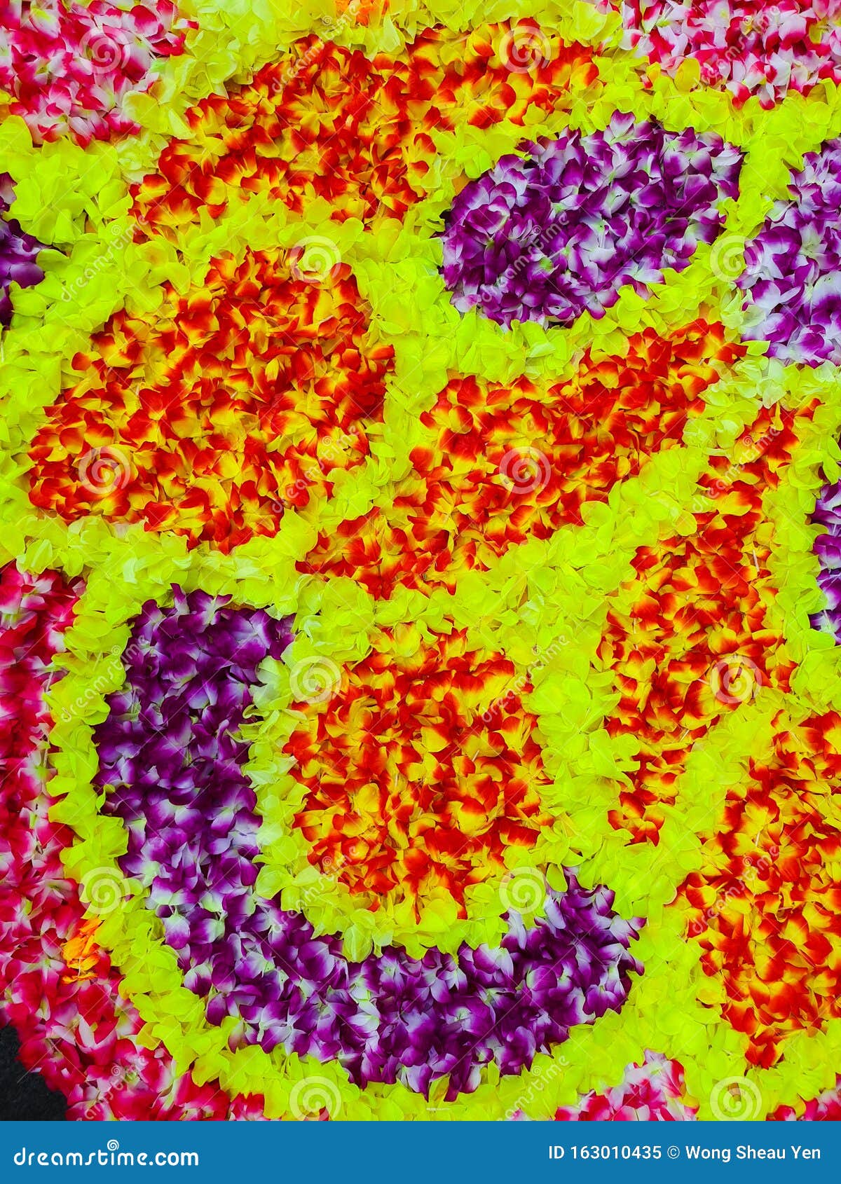 Display of Artistic Geometric Patterns Using Flower Petals Stock Image ...