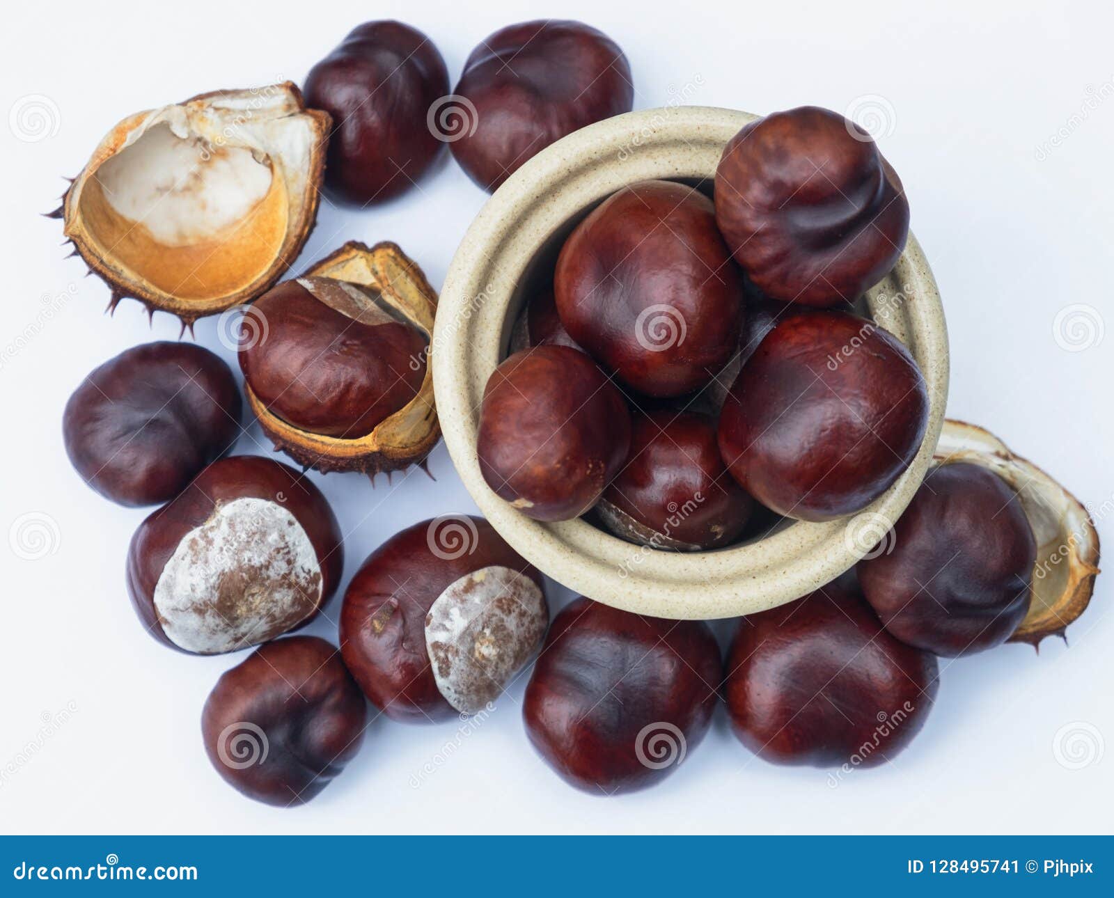 Conker Or Conquer Stock Photography | CartoonDealer.com #151397876