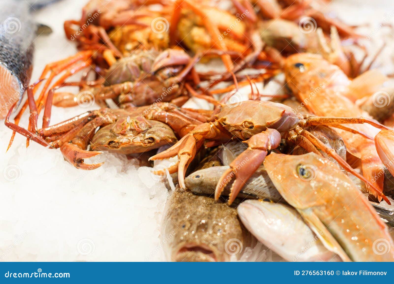 Display with Crustaceans in Shop Stock Photo - Image of cooking ...