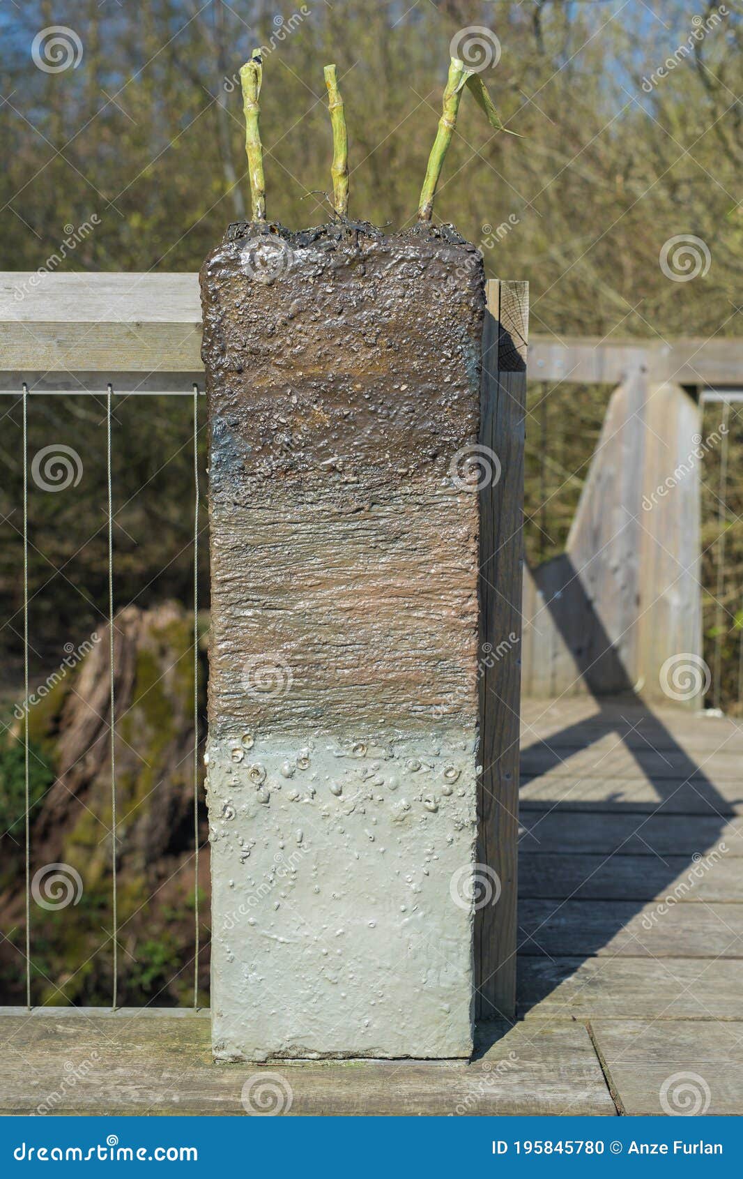 A Display of Different Soil Layers. Ground Layers on an Educational ...