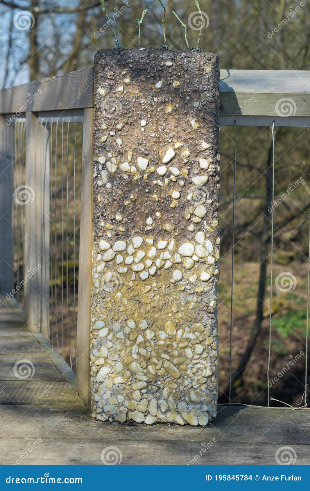 A Display Of Different Soil Layers And Stones Inside. Ground Layers On ...