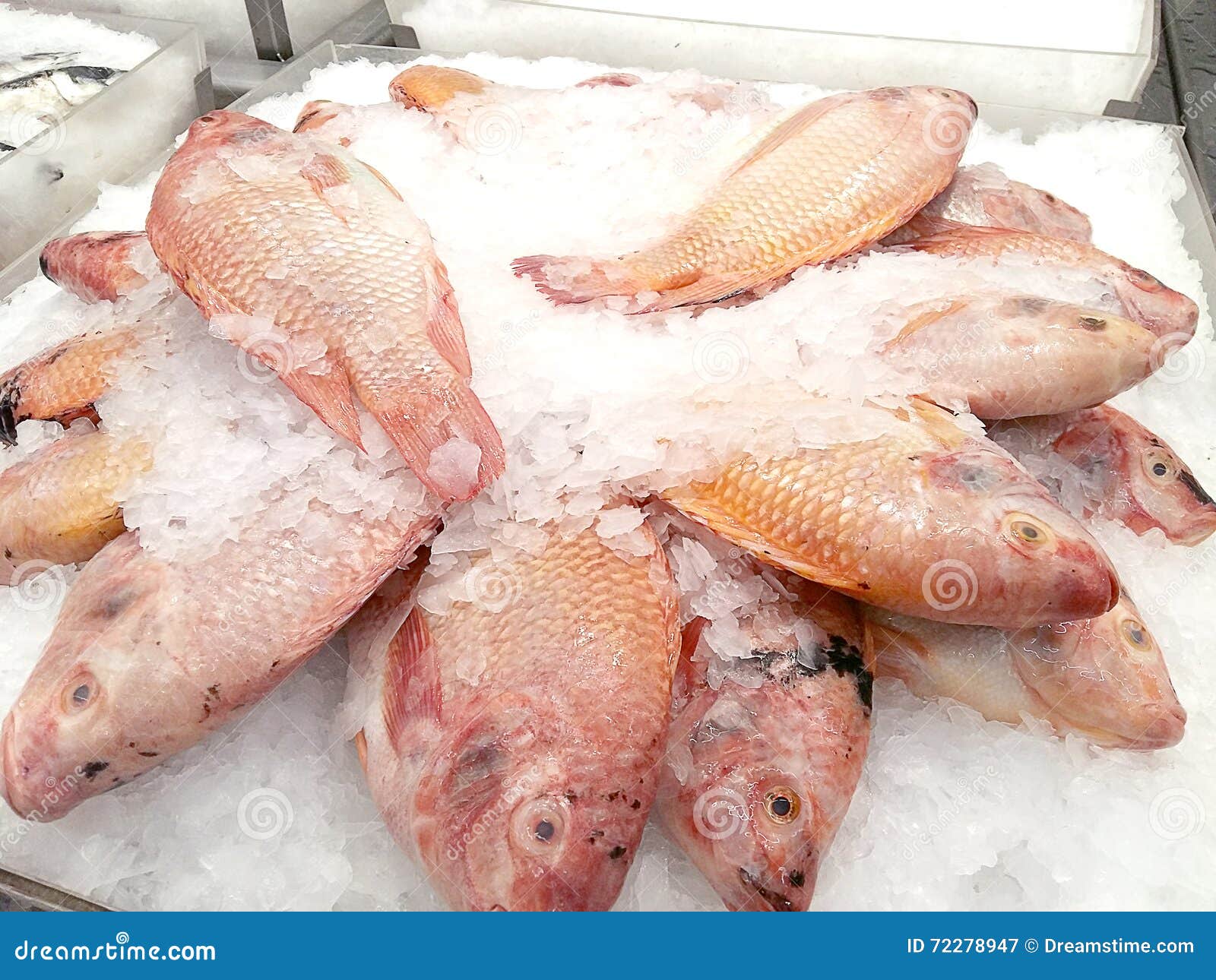 A Display of Fish on Ice at a French Fish Market Stock Image - Image of ...