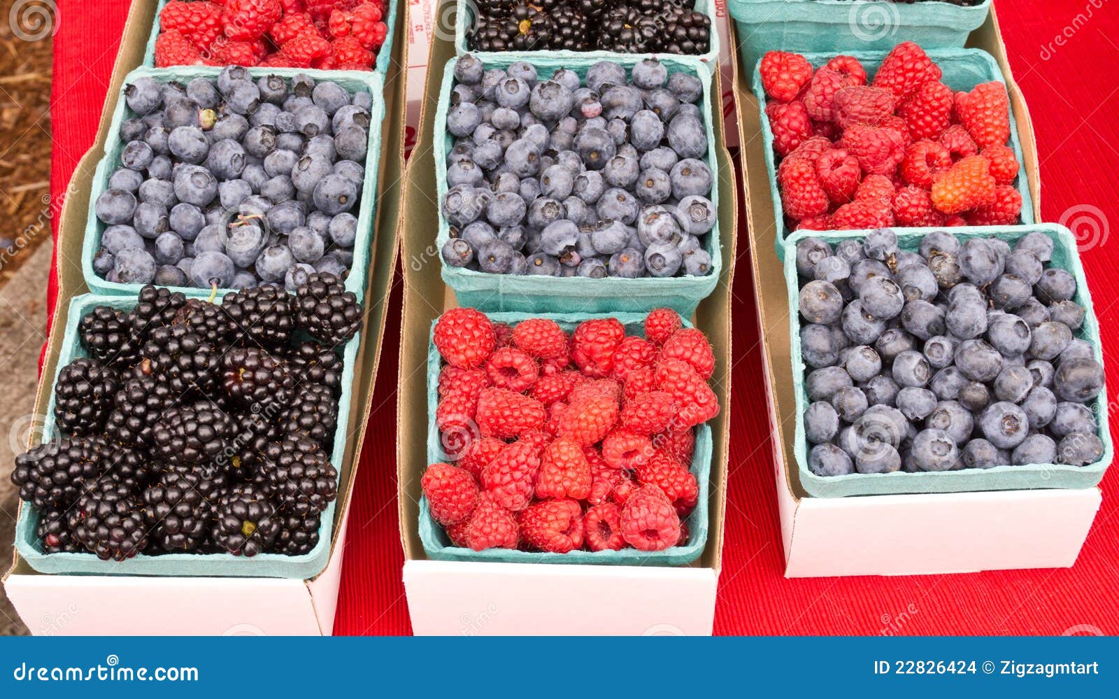 Display of Fresh Picked Berries Stock Photo - Image of healthy, meals ...