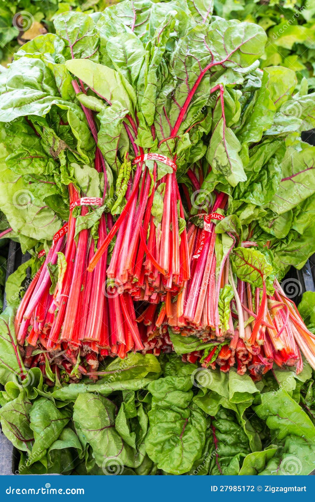 Display of Fresh Swiss Chard Stock Photo - Image of ripe, food: 27985172