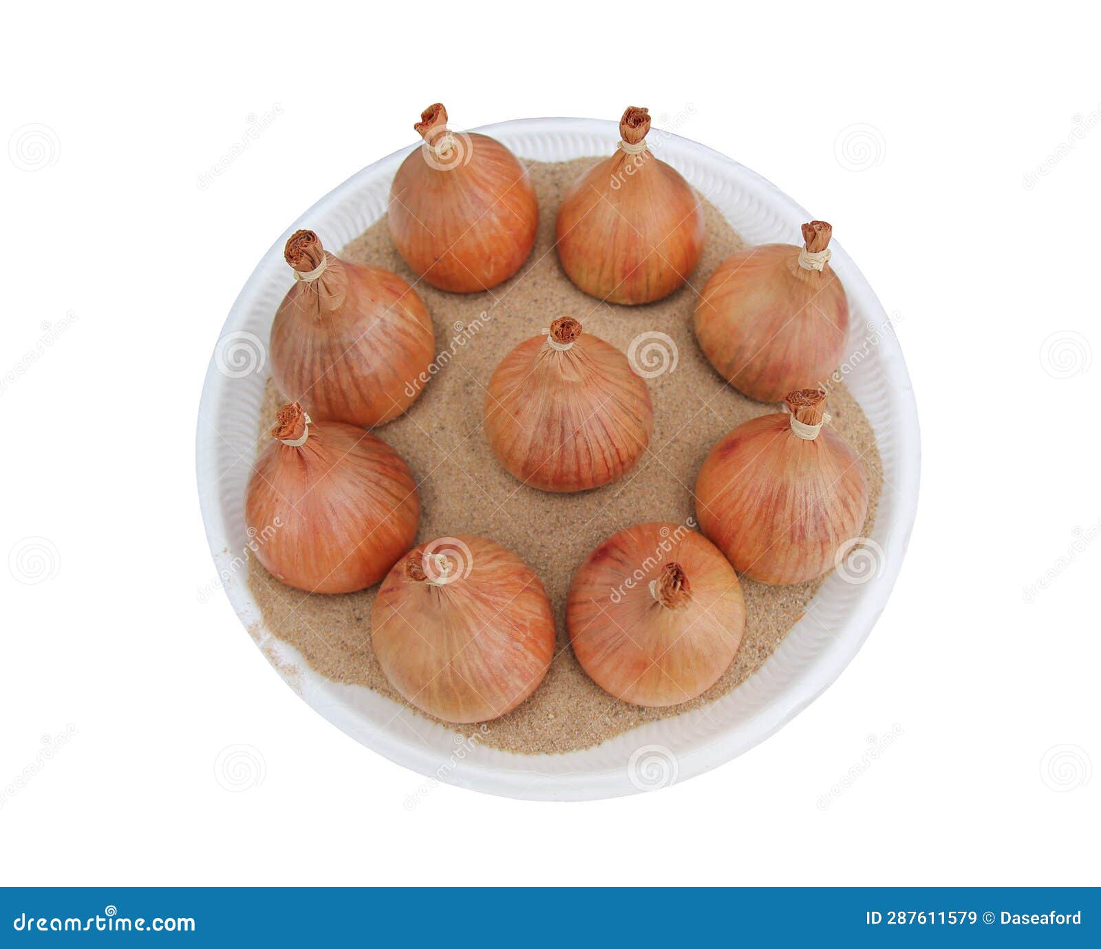 Display of Nine Onions. stock image. Image of display - 287611579