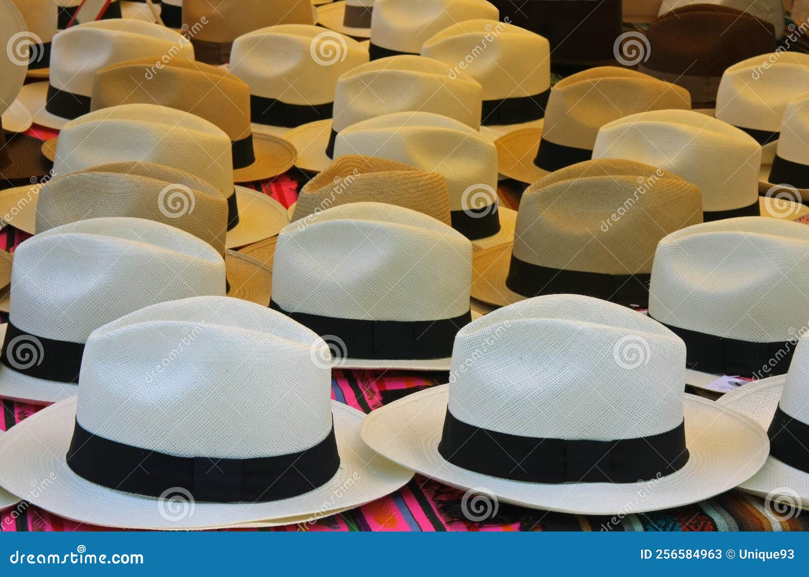 Display of panama hats stock image. Image of head, accessory - 256584963