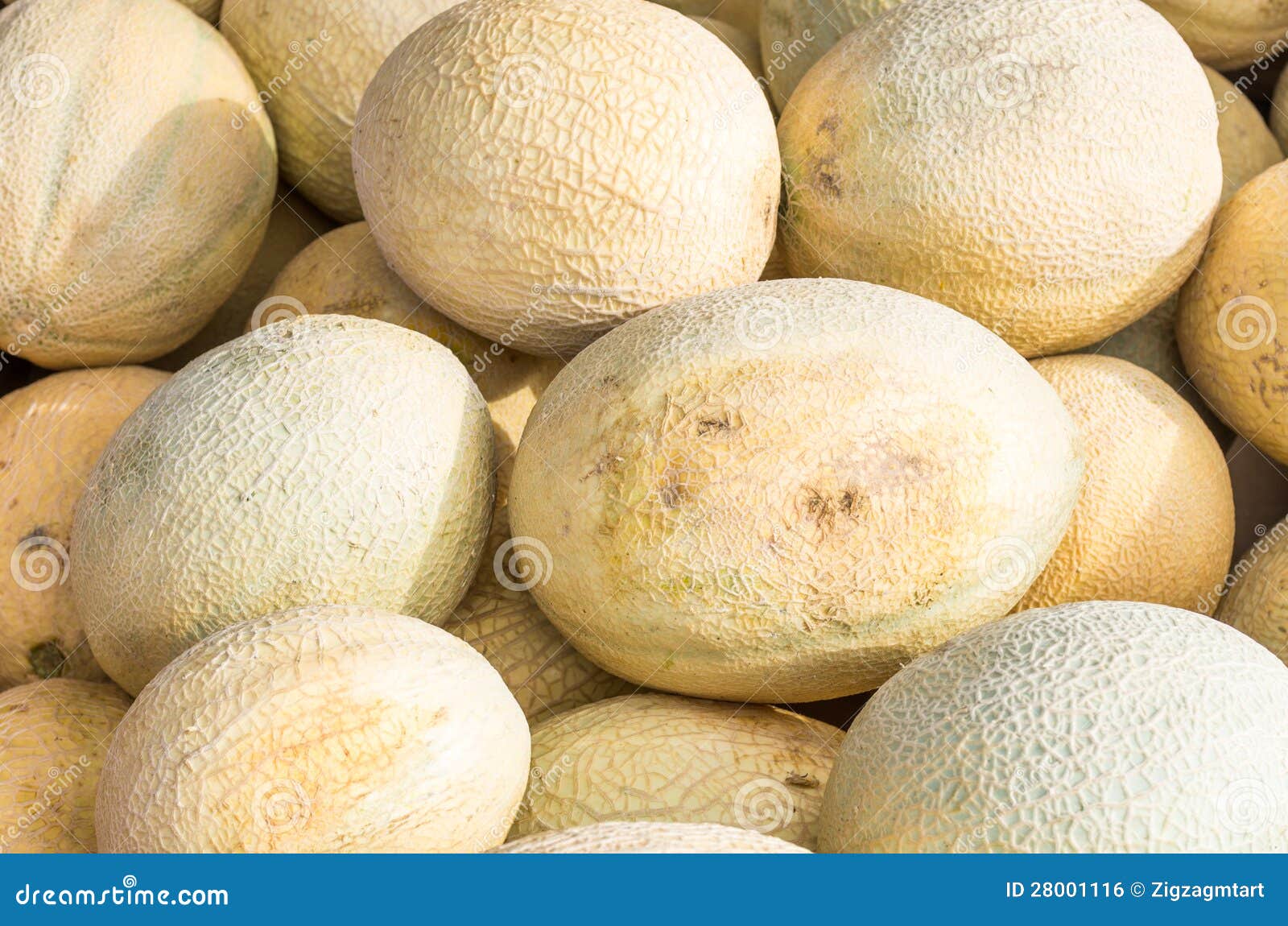 Display of ripe melons stock photo. Image of cantalope - 28001116
