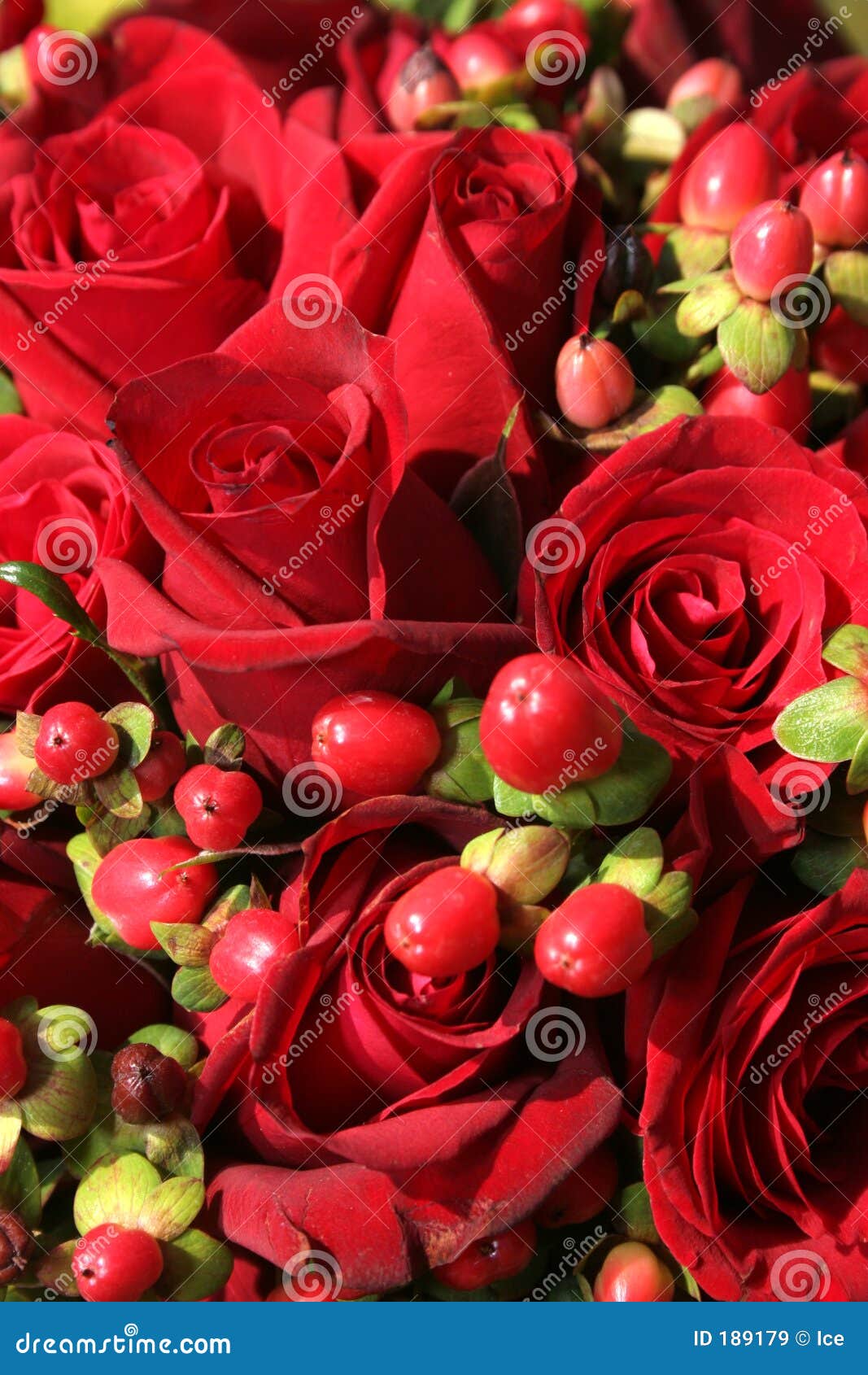 Display of roses stock image. Image of wedding, flowers - 189179