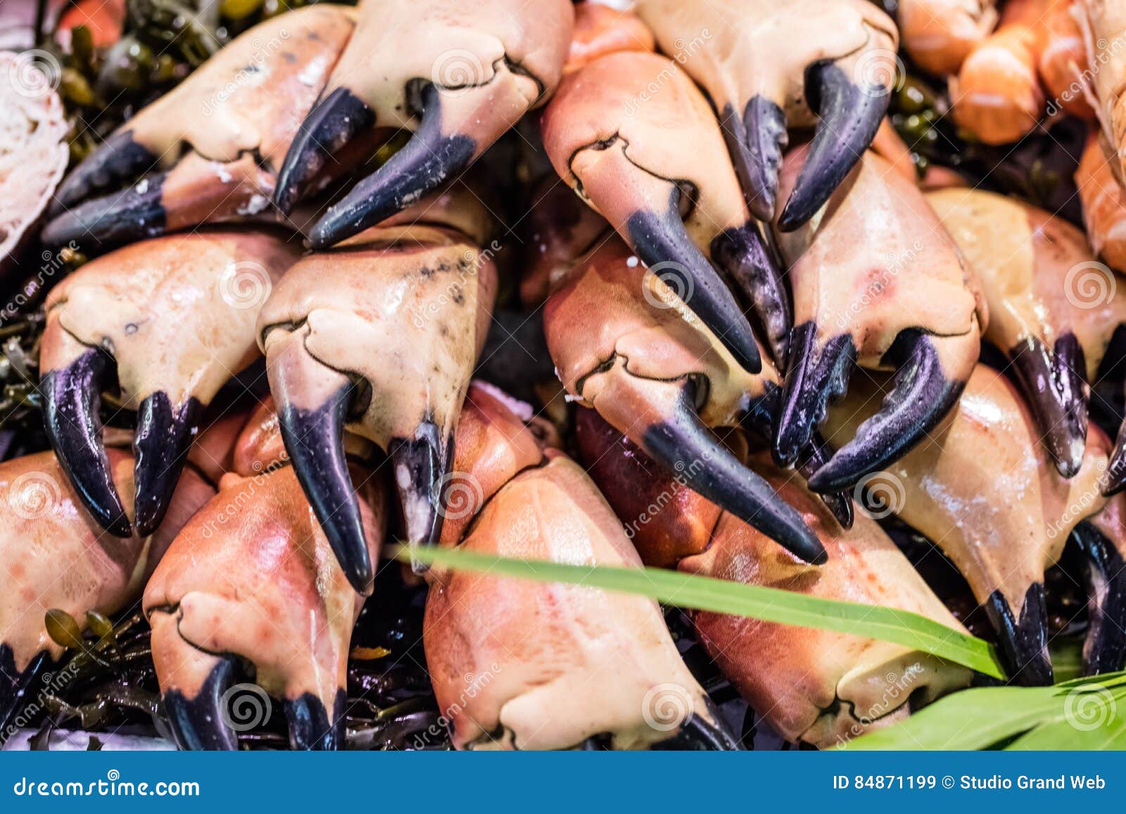 Display of Several Fresh Cut Crab Craws for Gourmet Seafood Stock Image ...