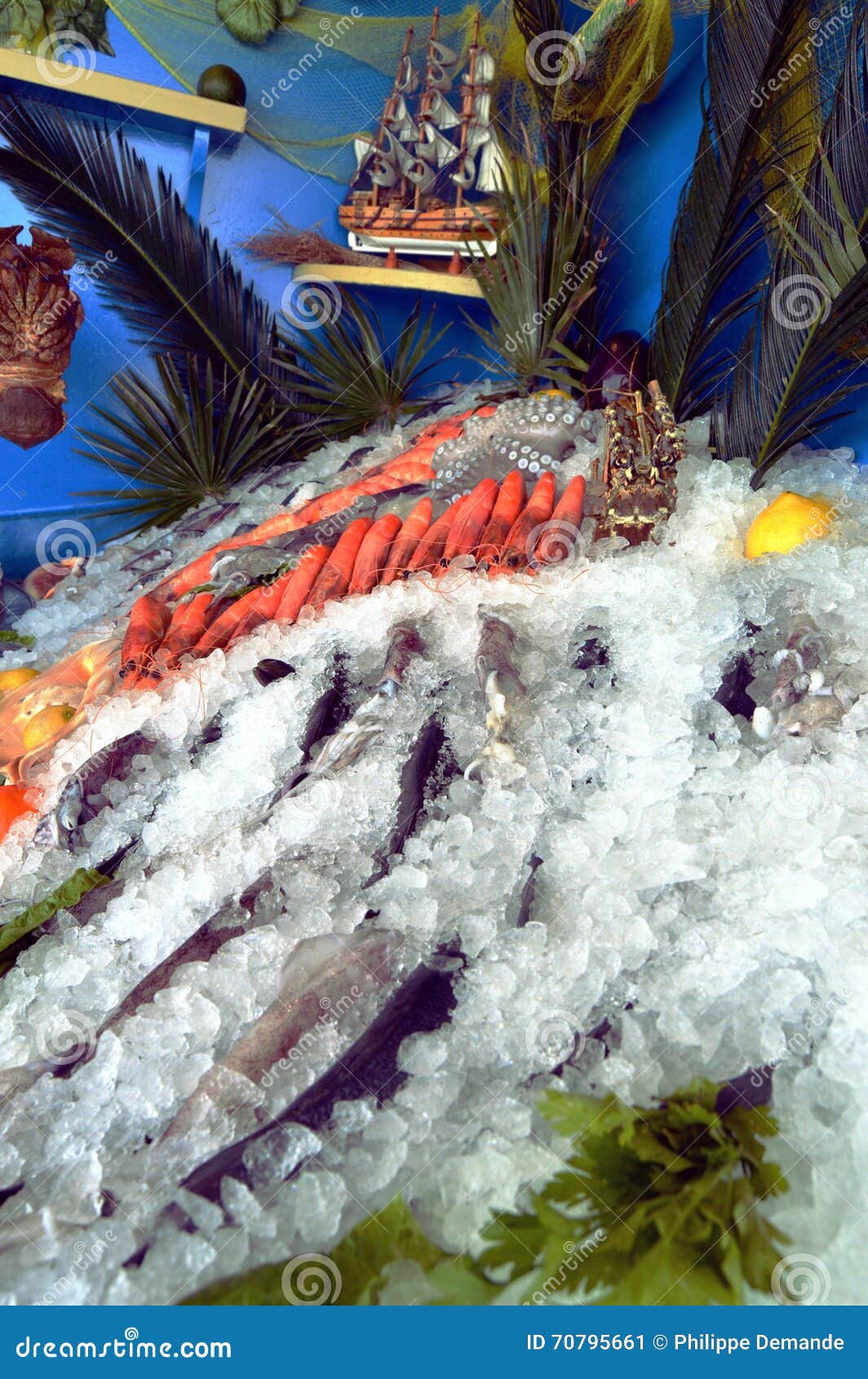 Display Stands of Fishes and Seafoods. Stock Image - Image of sell ...
