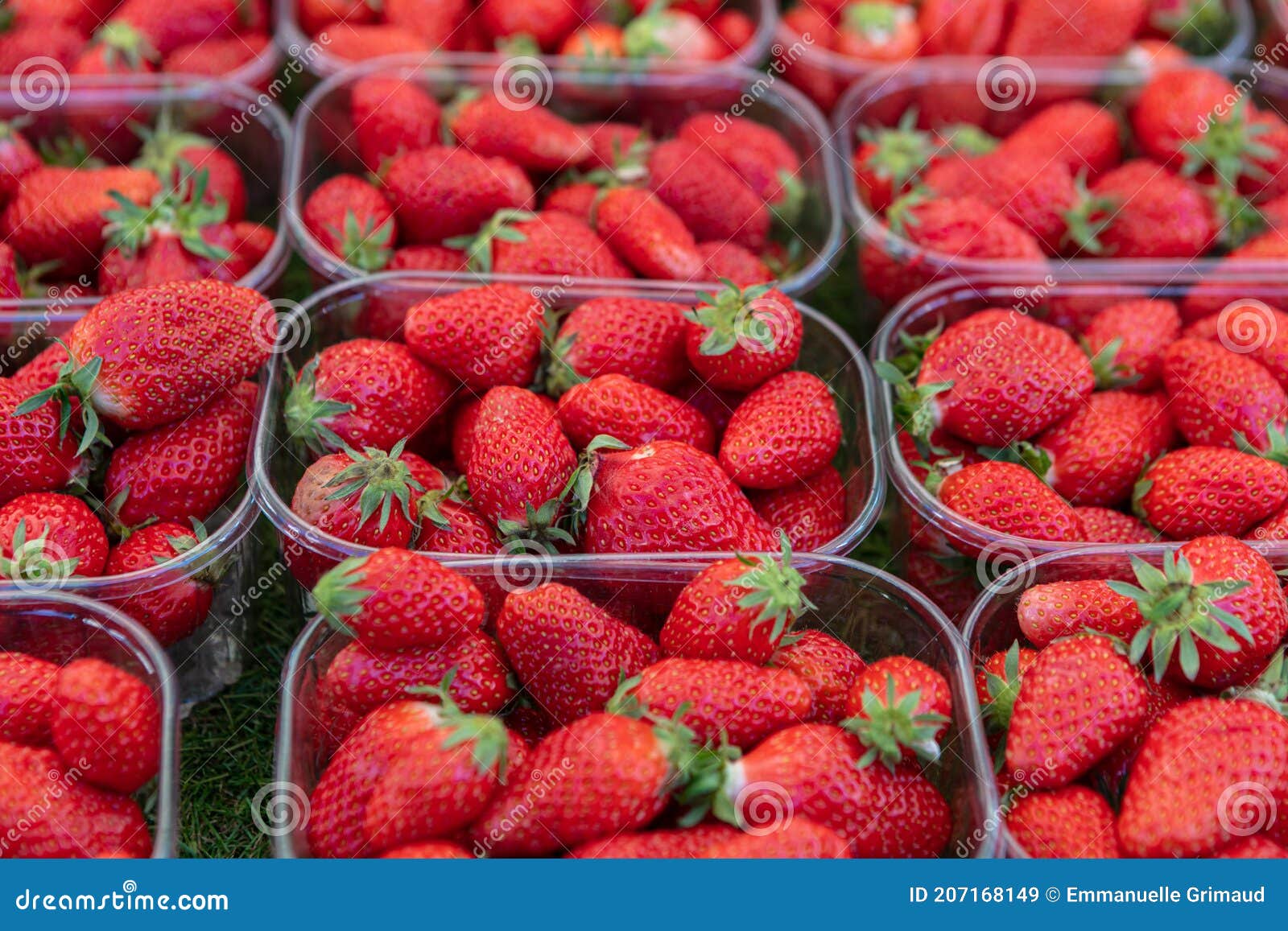 Display of Strawberry Trays Stock Image - Image of market, summer ...