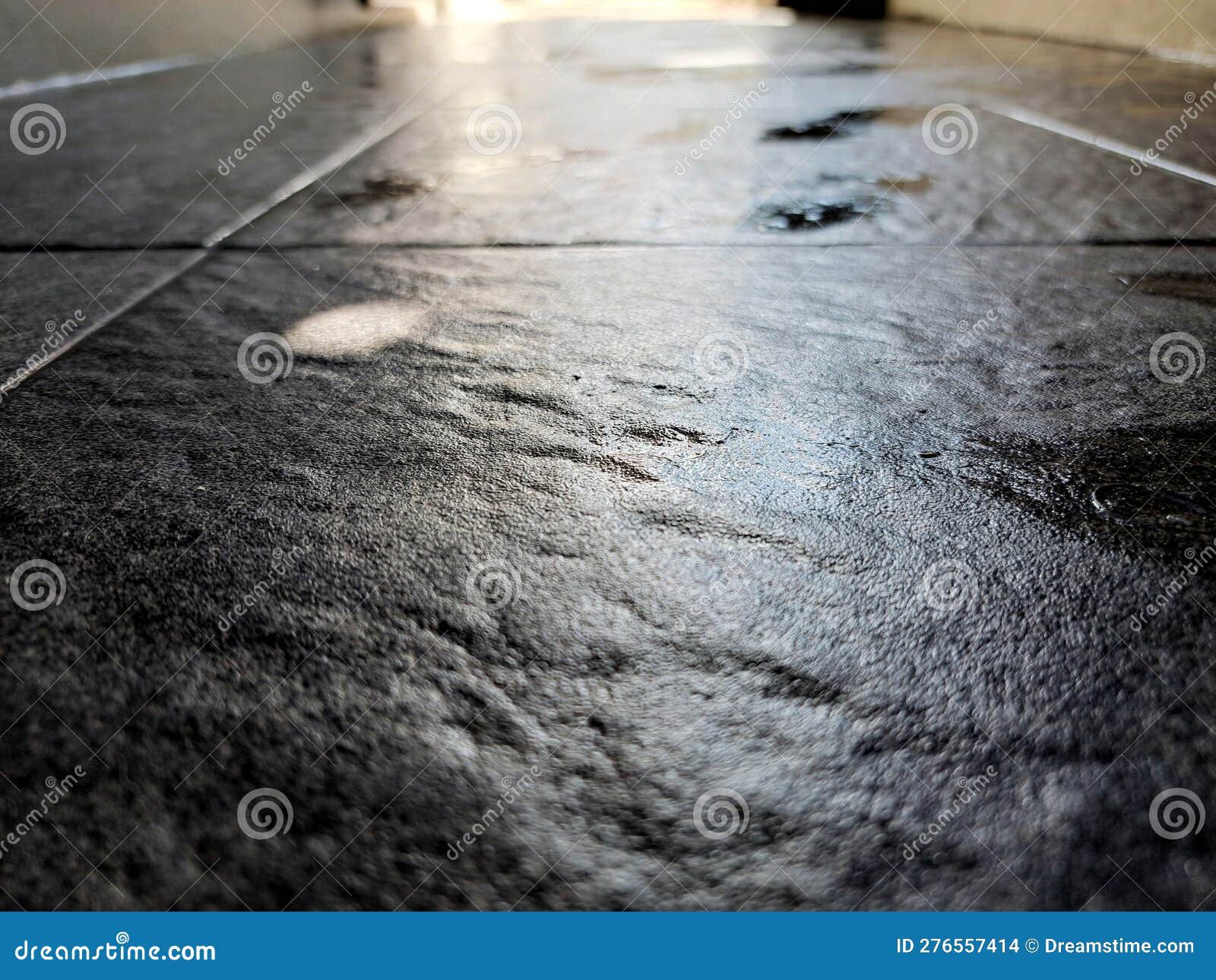 The Display of Sunlight on the Tiled Floor Stock Photo - Image of floor ...