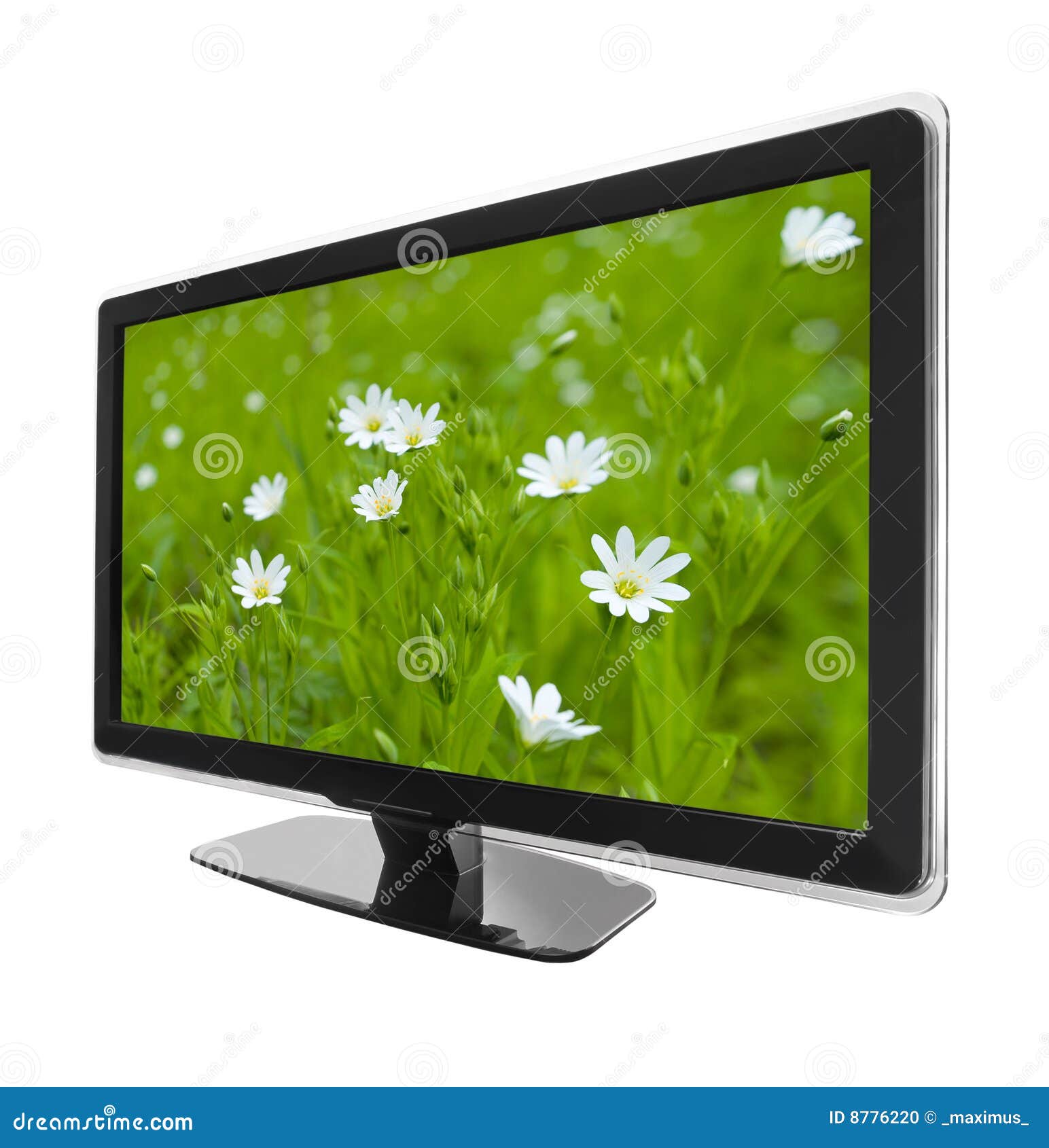 Display tv and flowers stock photo. Image of panoramic - 8776220