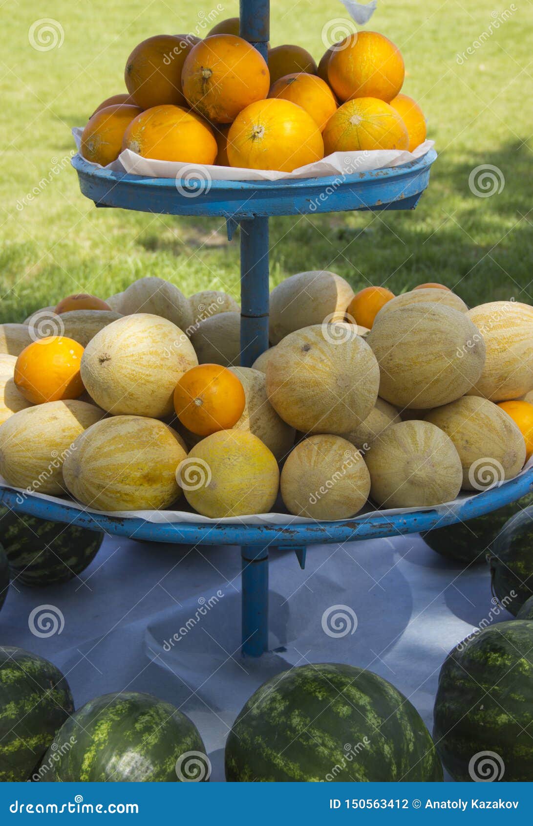 A Display of Watermelons and Melons in the Sunlight Stock Photo - Image ...