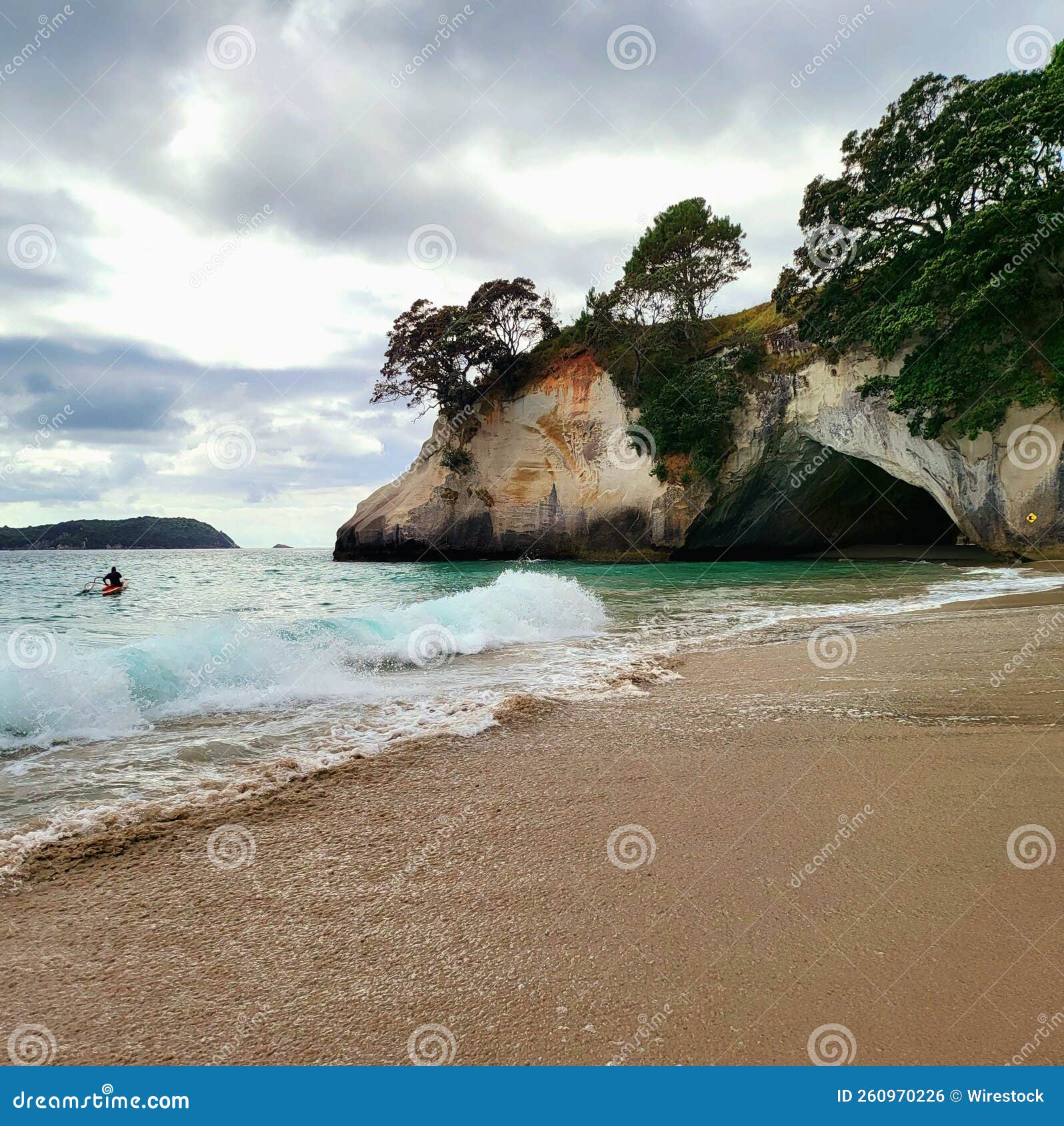 Display of the Whanganui-a-Hei, Cathedral Cove Marine Reserve at ... Display of the Whanganui-a-Hei, Cathedral Cove Marine Reserve at ...