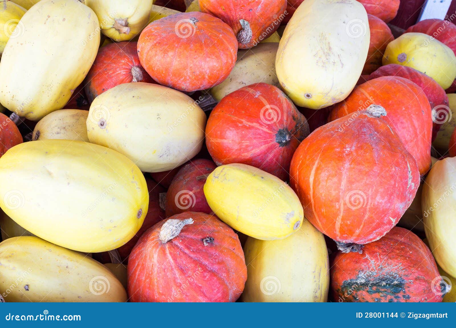 Display of Winter Squash for Storage Stock Photo - Image of harvesting ...