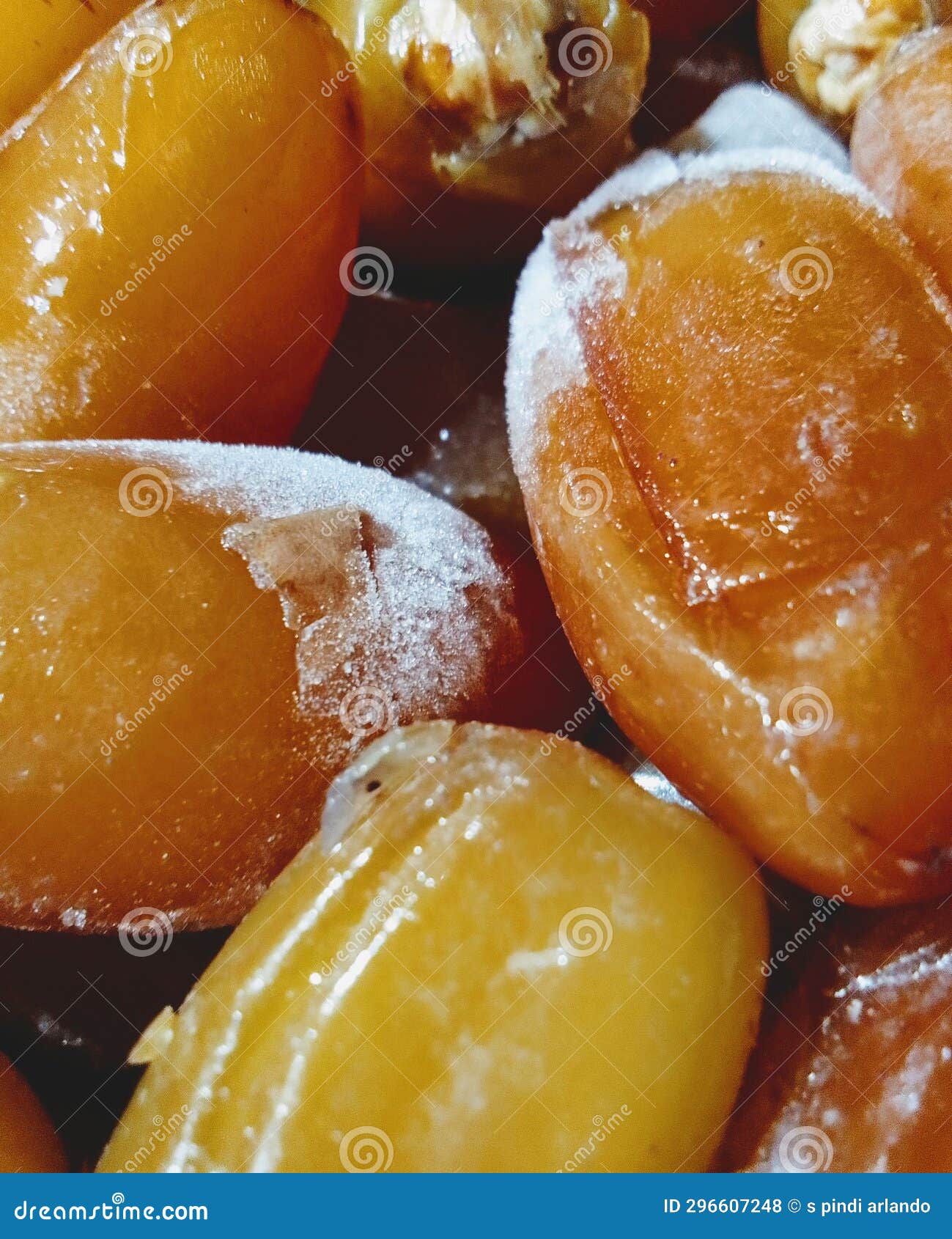 Display of Young Ruthob Dates from Algeria Stock Photo - Image of young ...