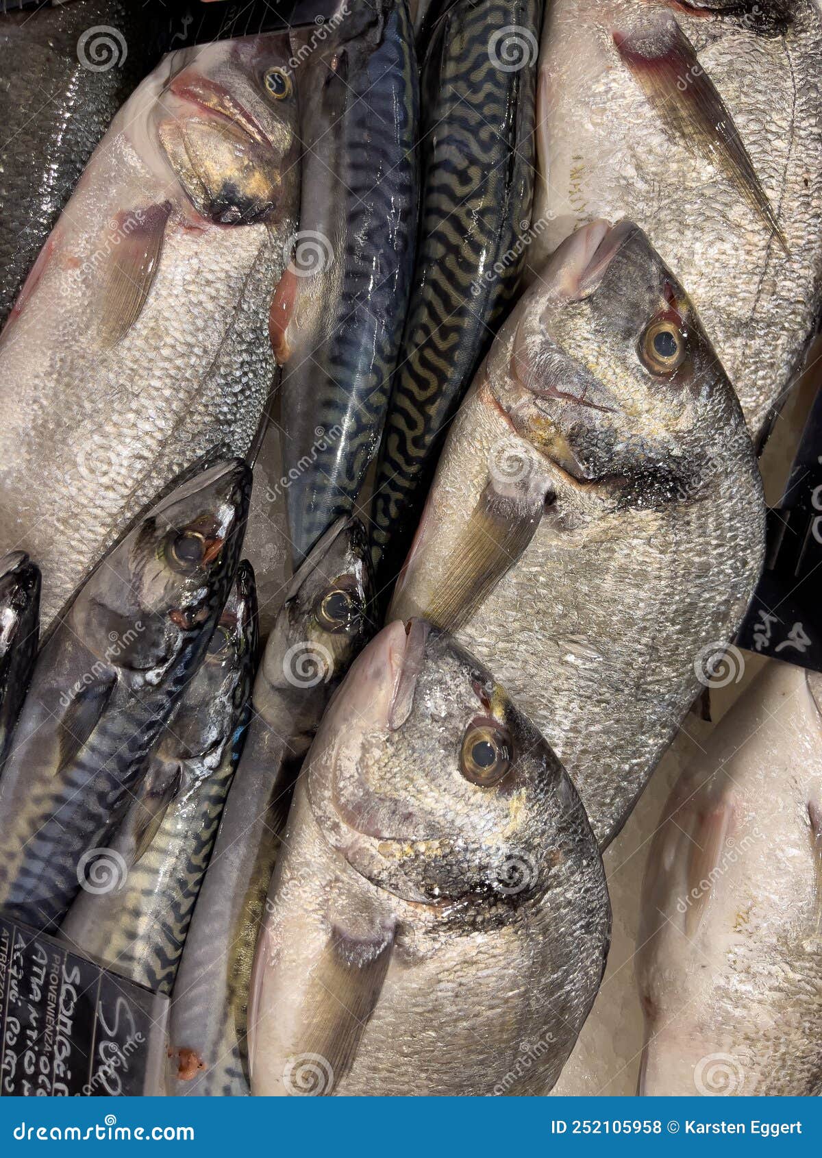 In a Displays of a Fishmonger Lies a Lot of Fresh Fish Stock Photo ...