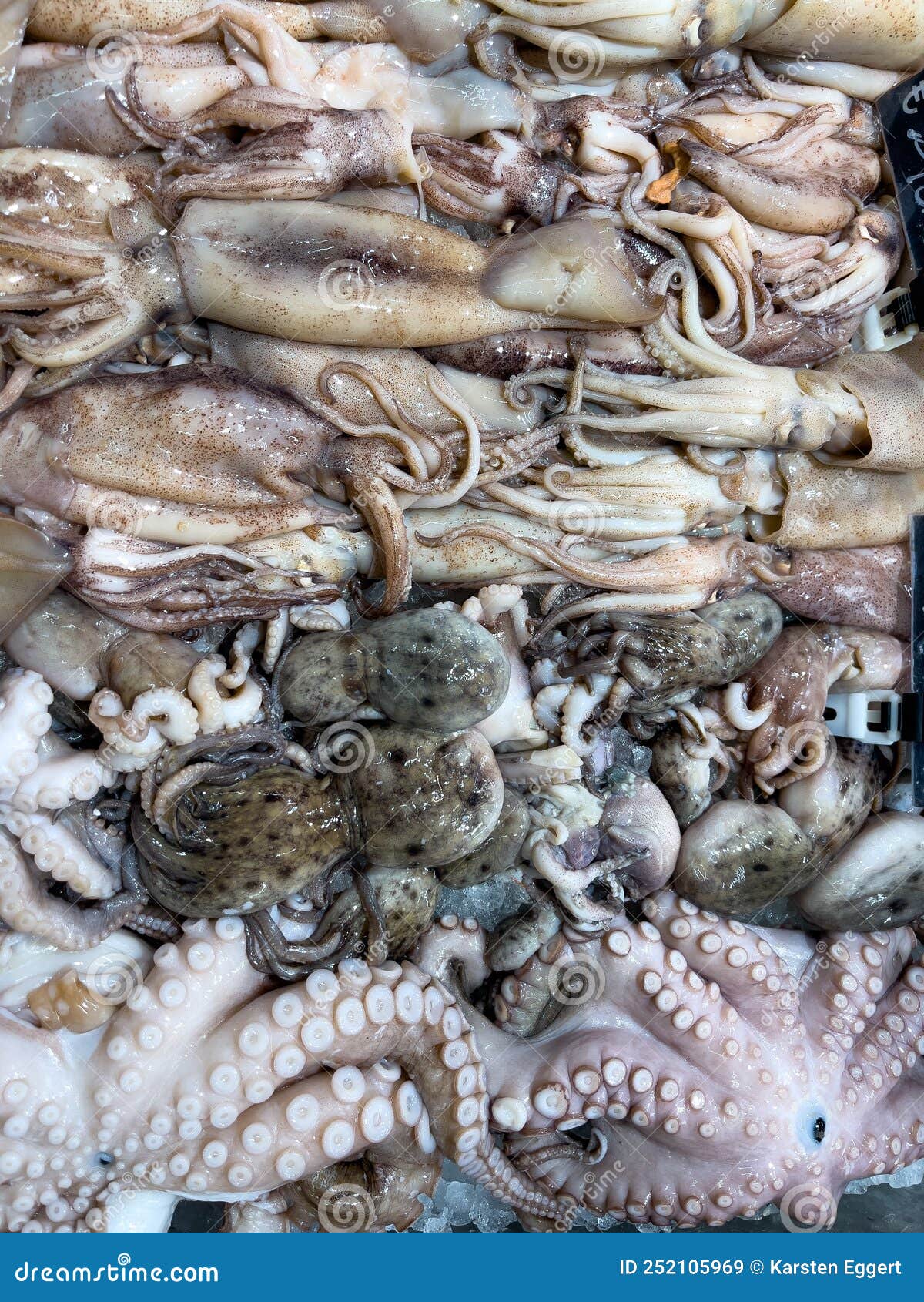 In a Displays of a Fishmonger Lies a Lot of Fresh Fish Stock Image ...