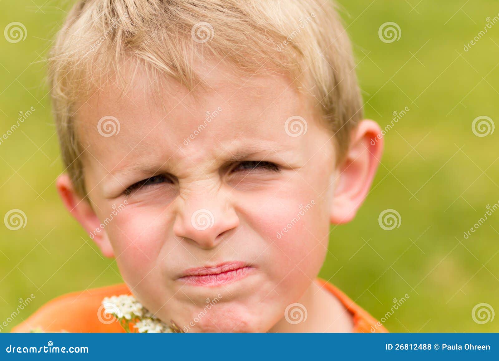 Displeased Young Boy stock photo. Image of scowl, attractive - 26812488