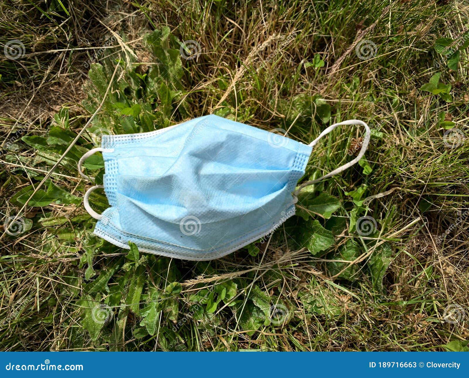 Face Mask on the grass stock image. Image of mask, grass - 189716663