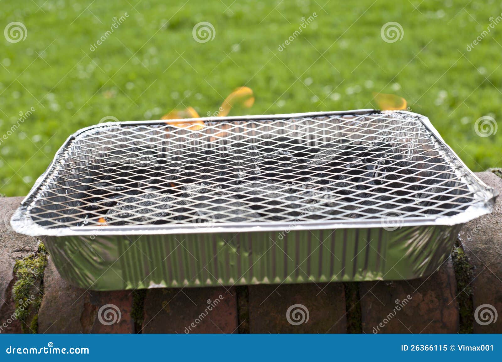 Disposable Foil BBQ. Selective Focus Stock Image - Image of dinner ...