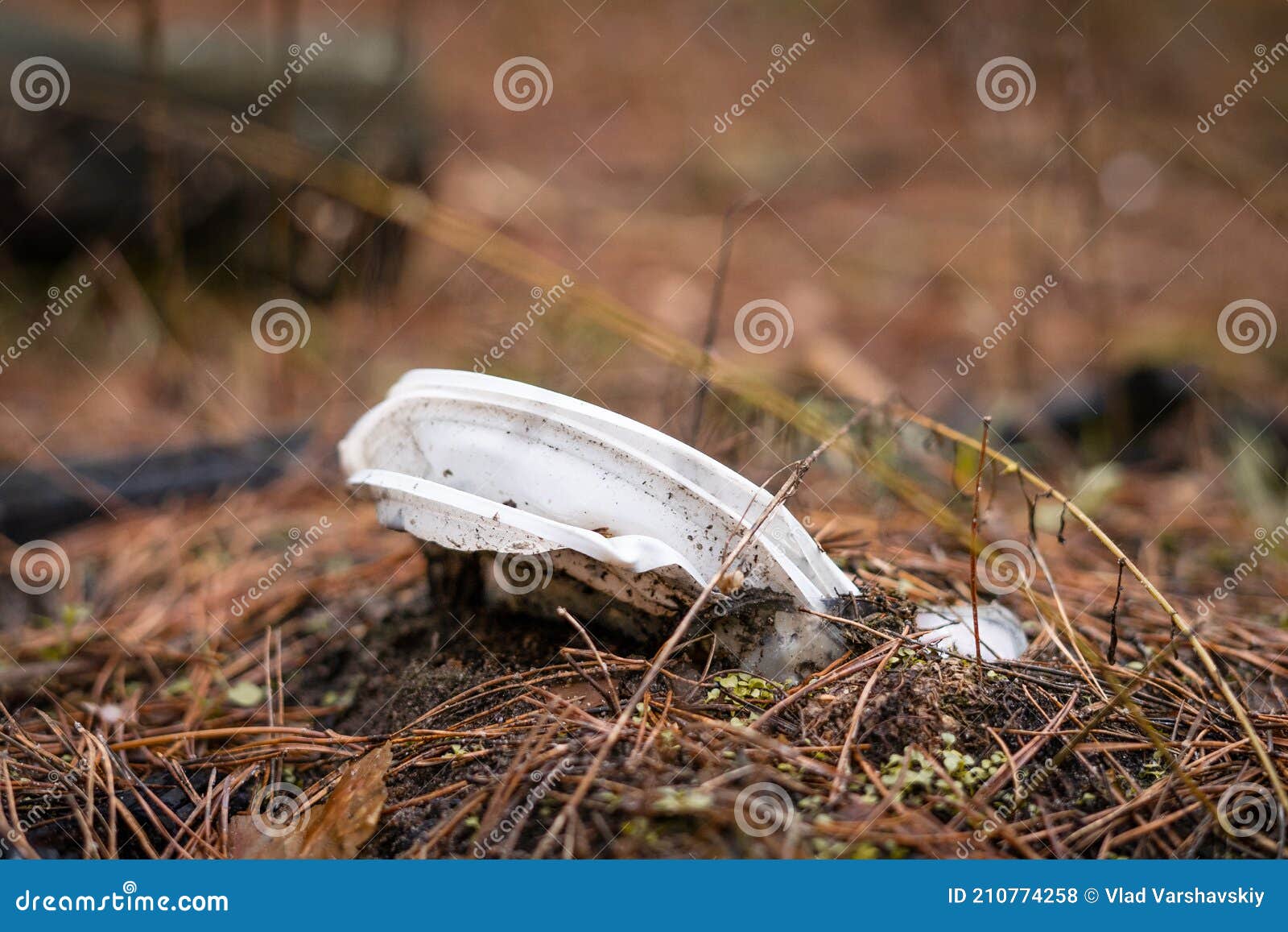 The Disposable Plastic Plate is Discarded in the Forest and Does Not ...